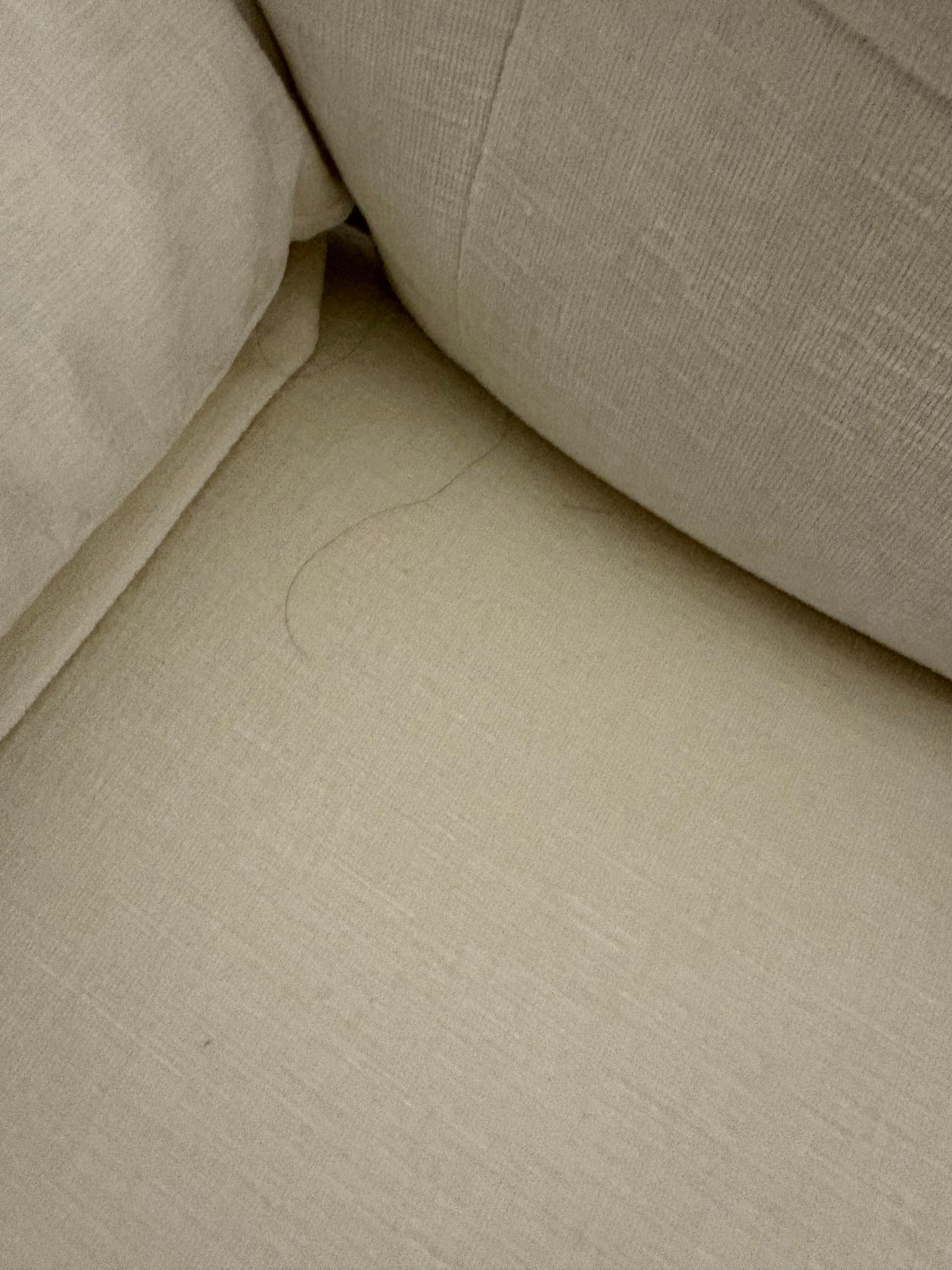 Dust and hairs all over the sofa