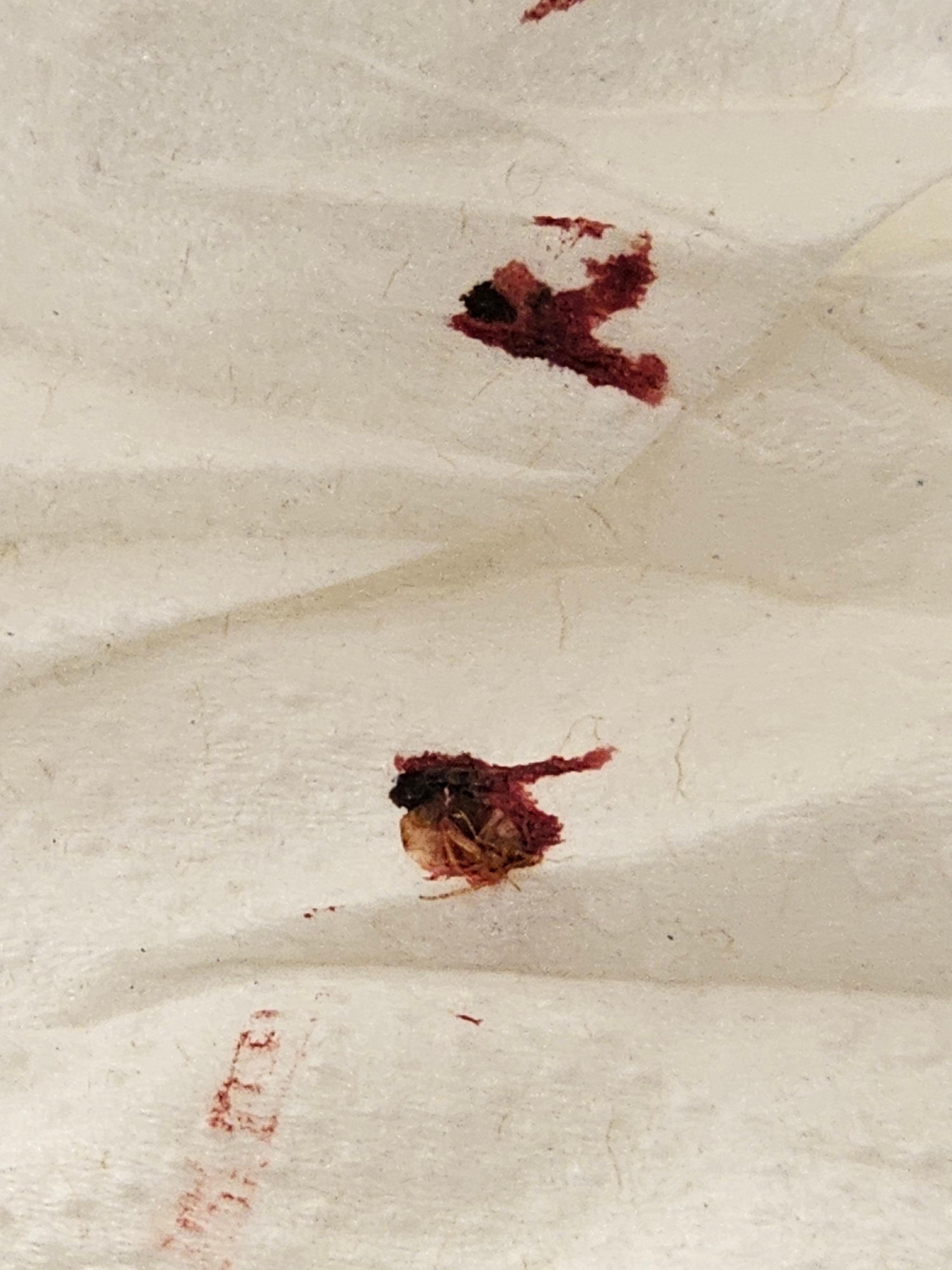 Day 3, early check out!