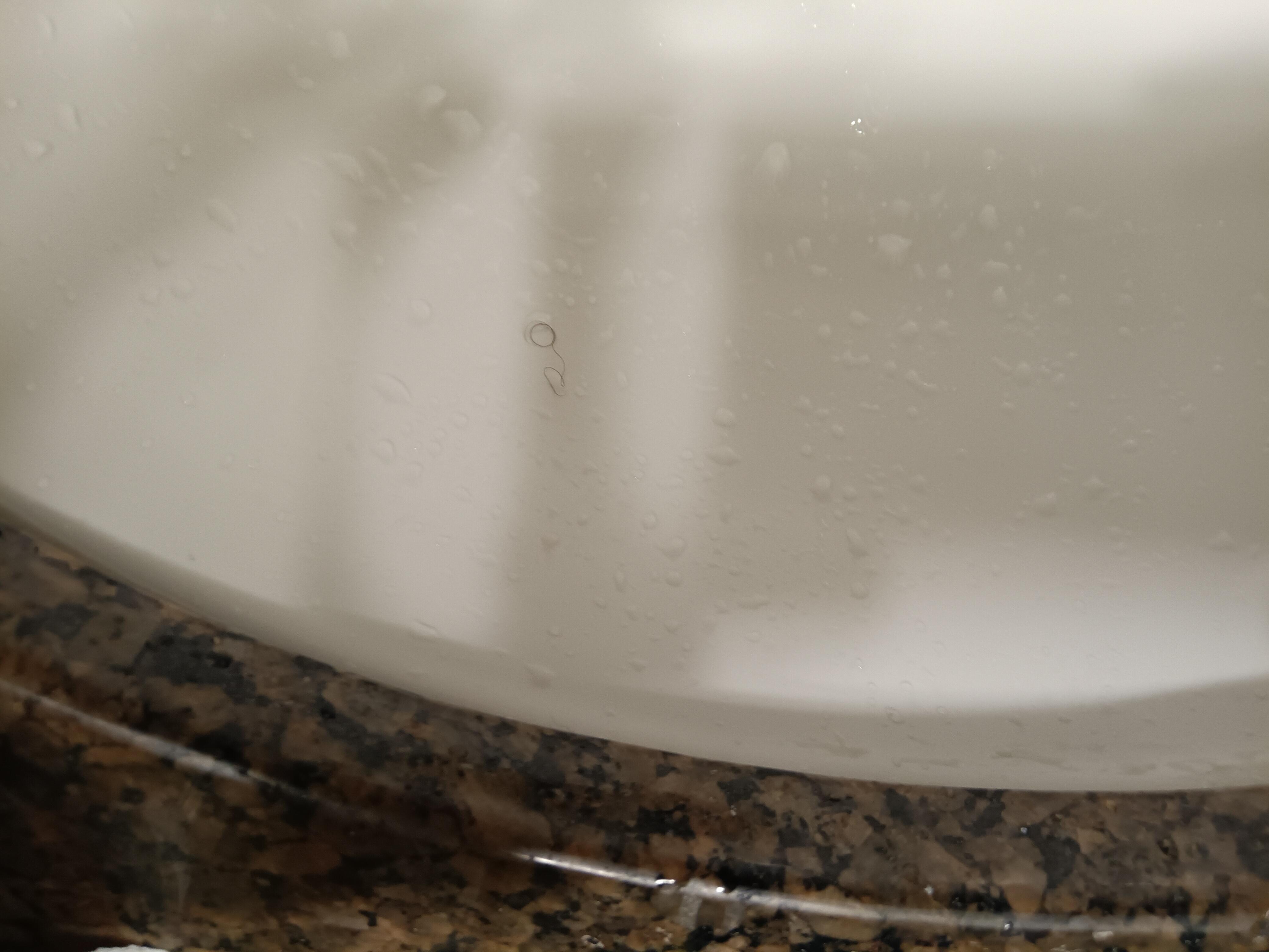 Hair in sink
