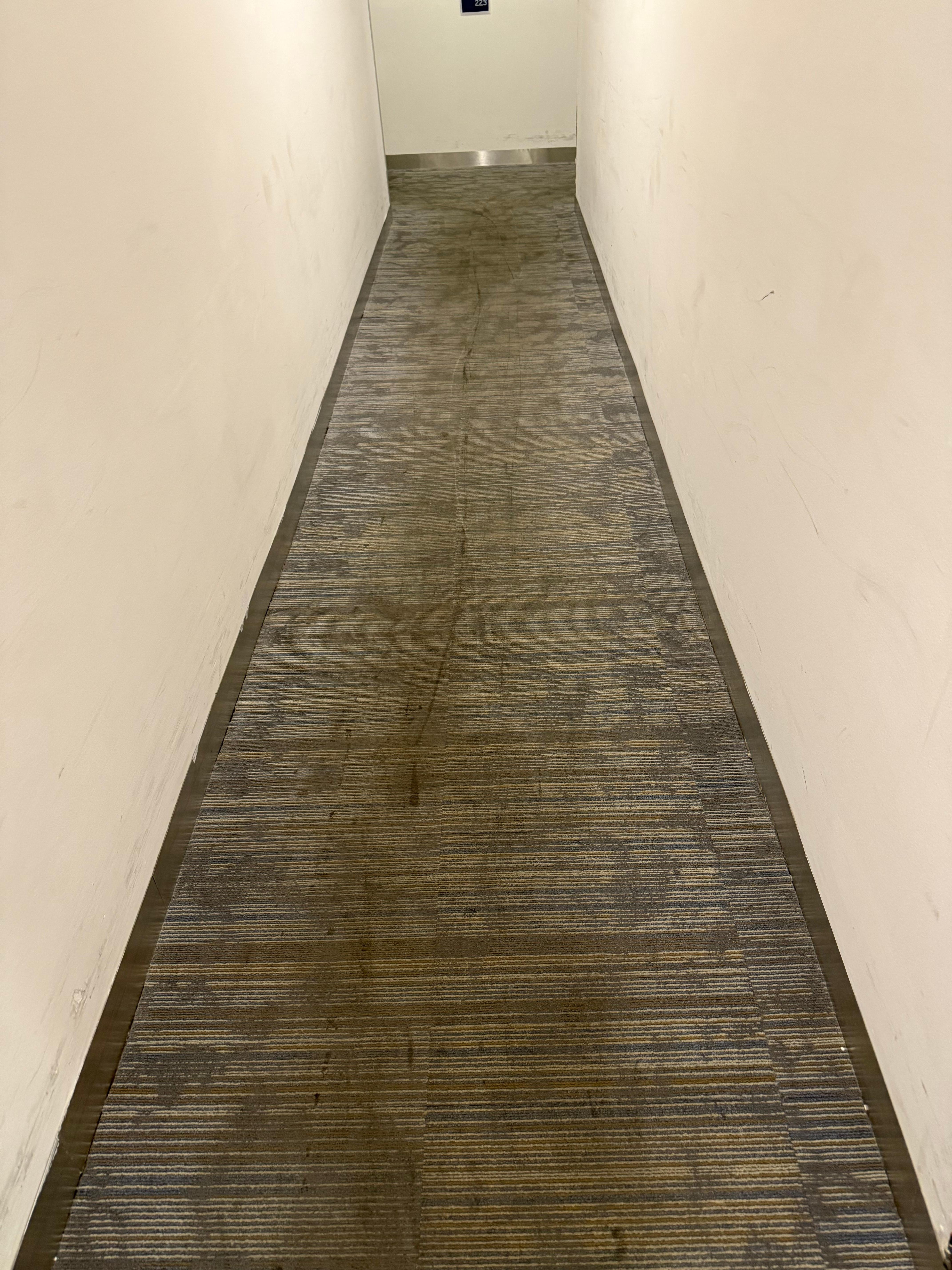 The carpet in the room looked and felt the same way