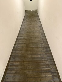 The carpet in the room looked and felt the same way