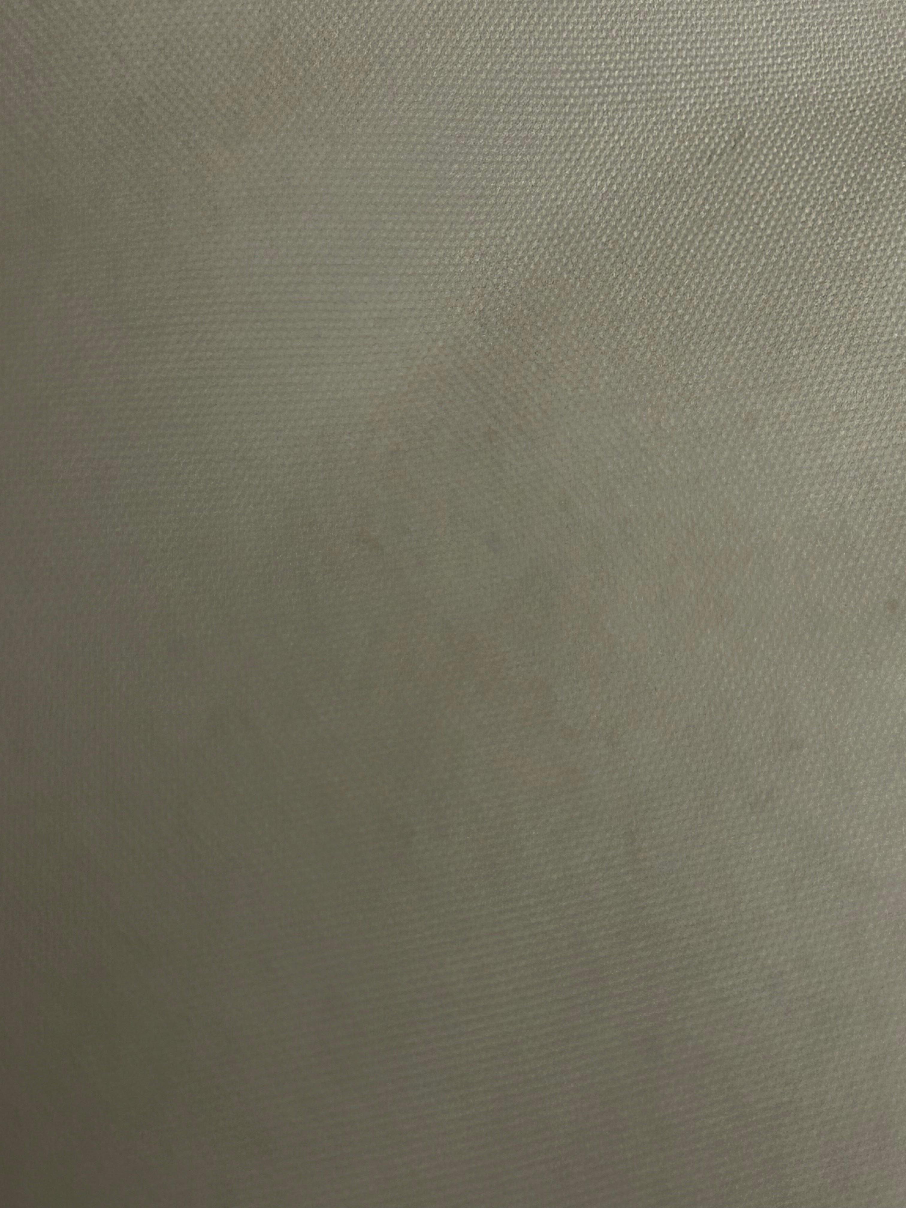 Gross and dirty sheets with dead skin. 