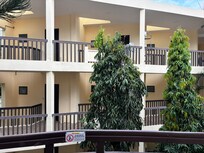 Our panoramic garden view 🙄