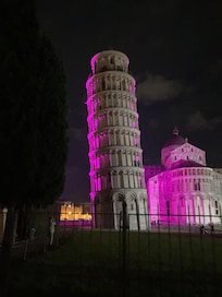 Special pink illumination