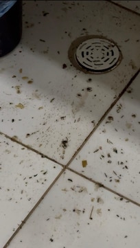 Mal cheiro tomou conta do quarto