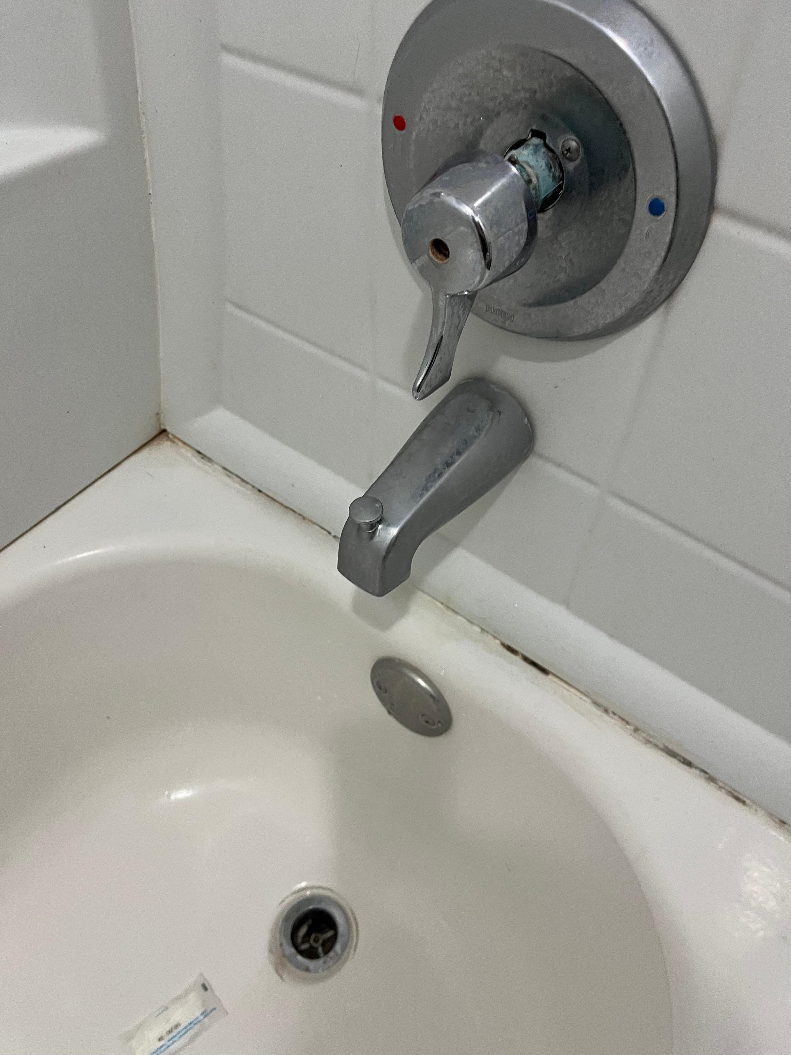 Mold in shower