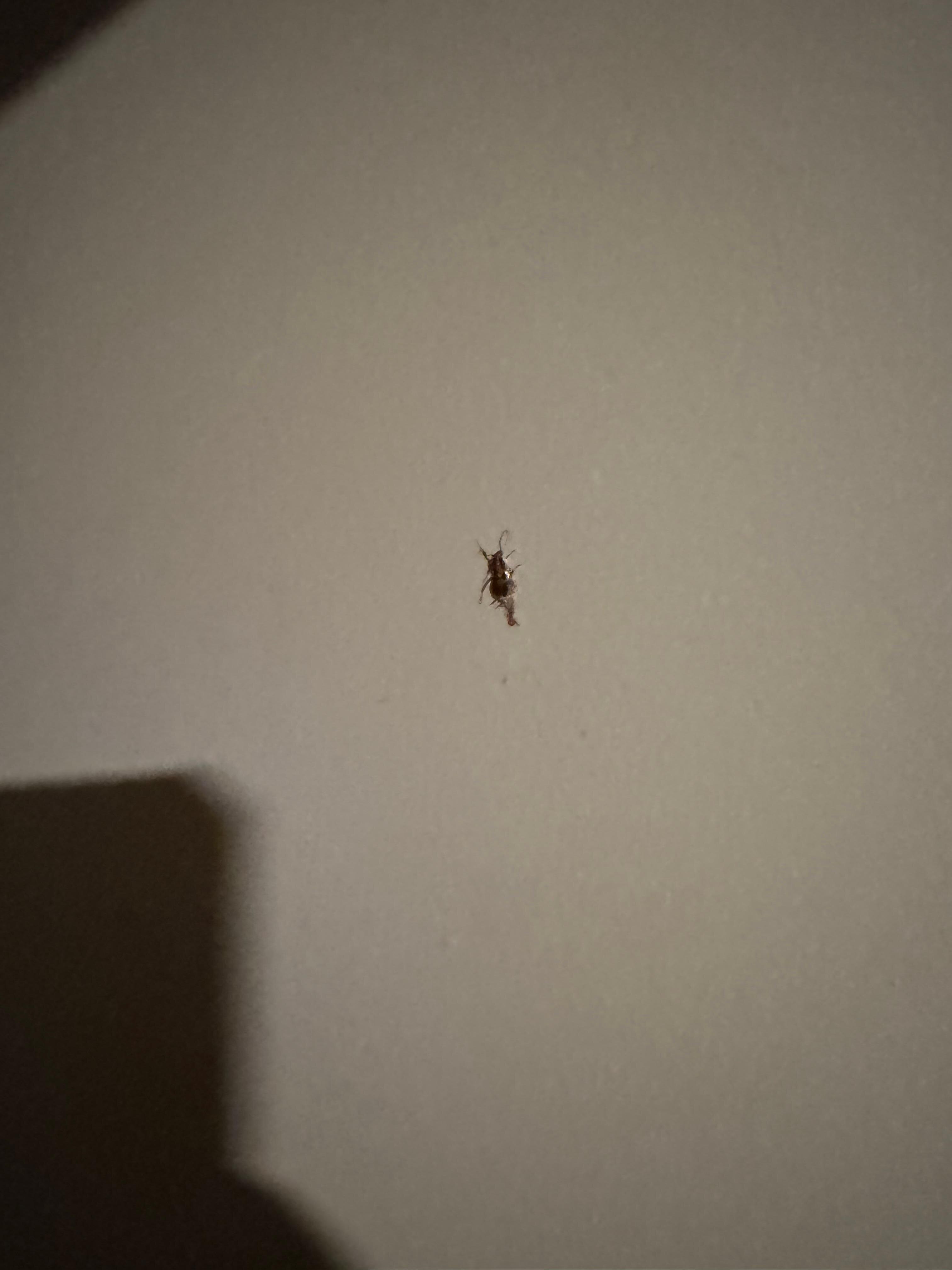 Roach crawling on the door that is nasty