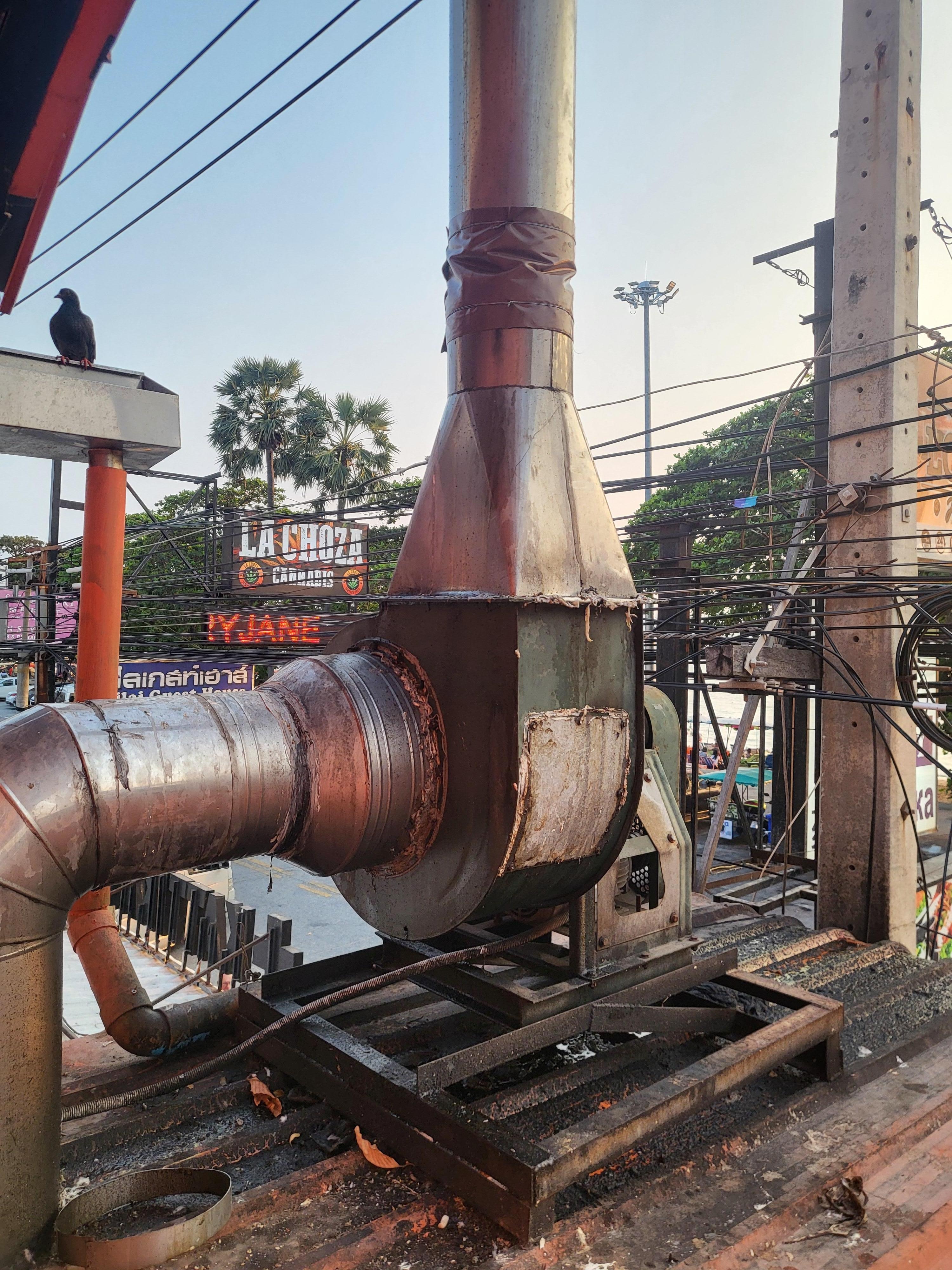 Estrattore del ristorante e piccioni