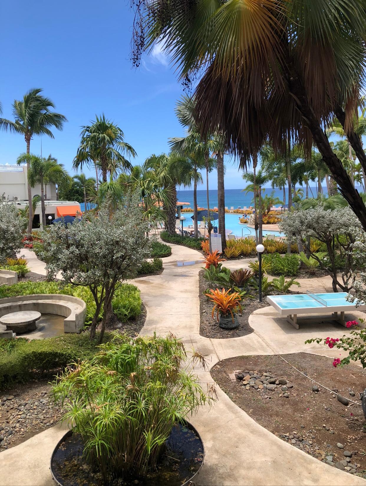 Rincon of the Seas - Grand Caribbean Hotel in Rincon: Find Hotel ...