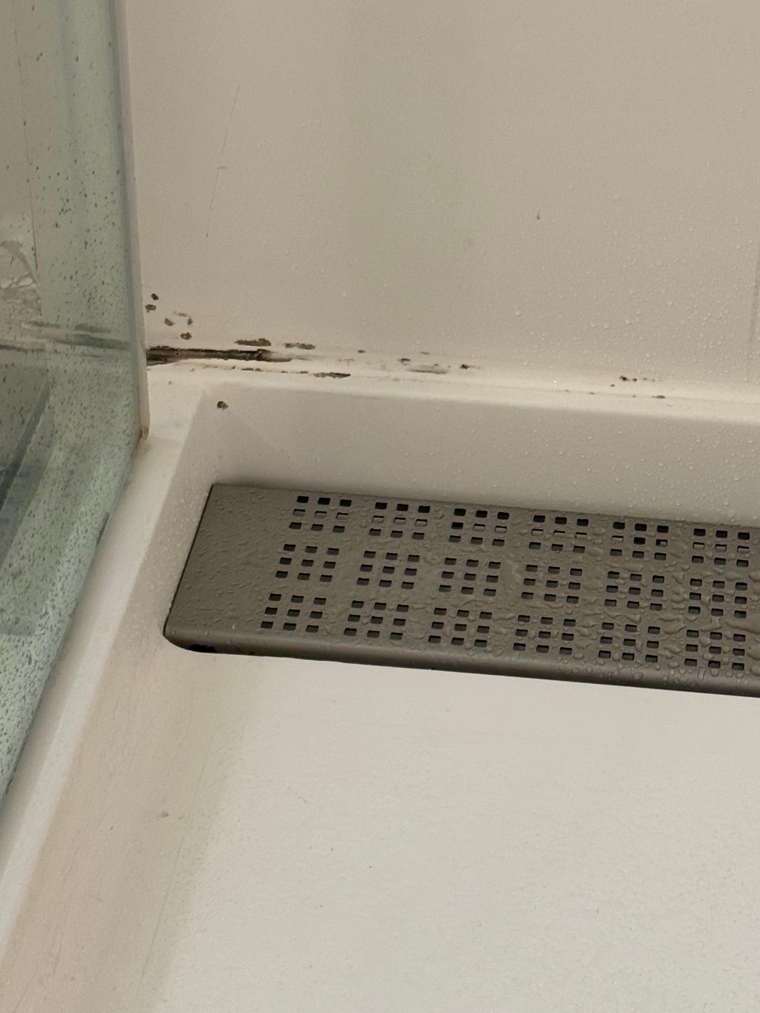 Look at the corner😭