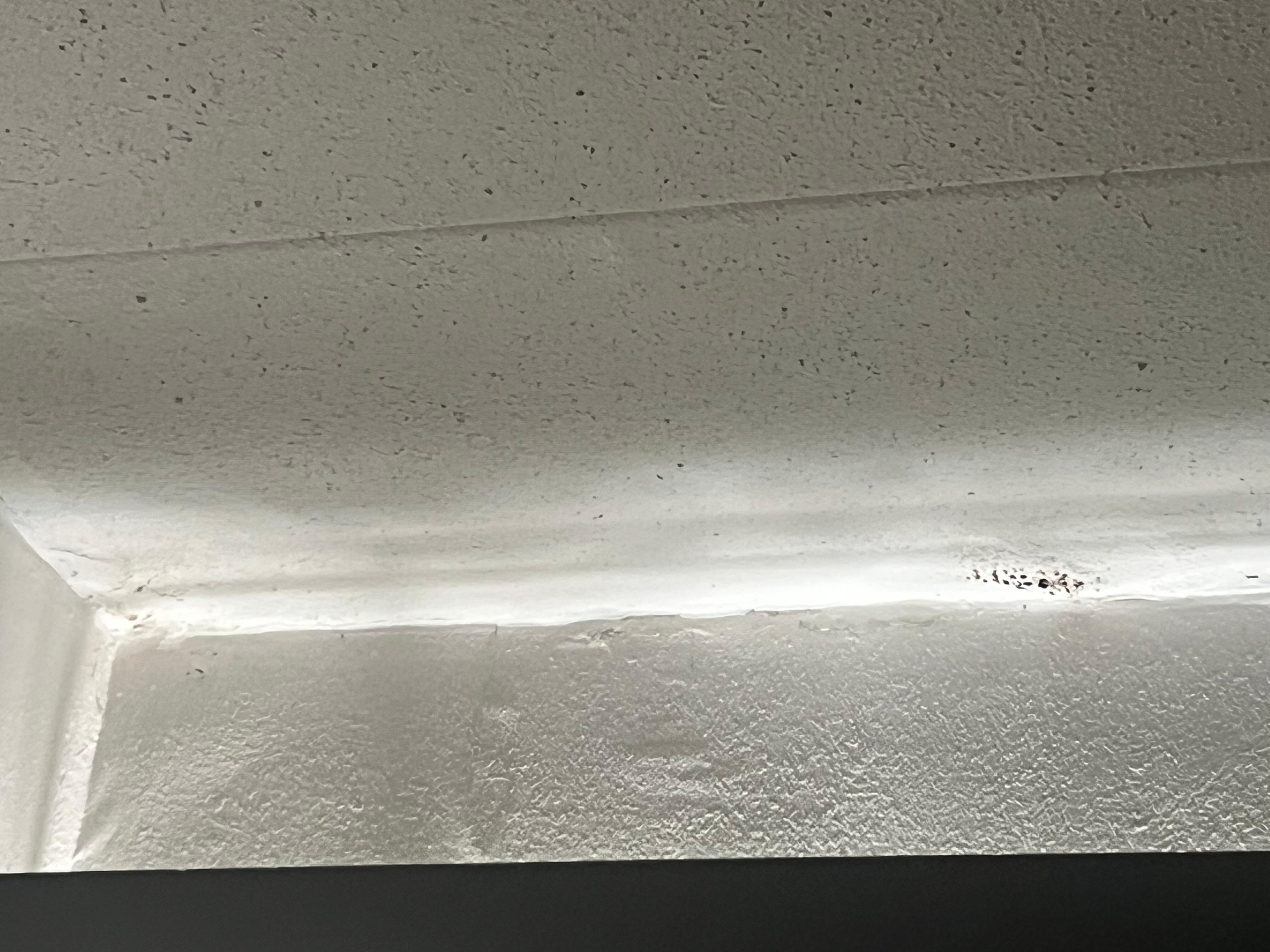 Mold on our room wall