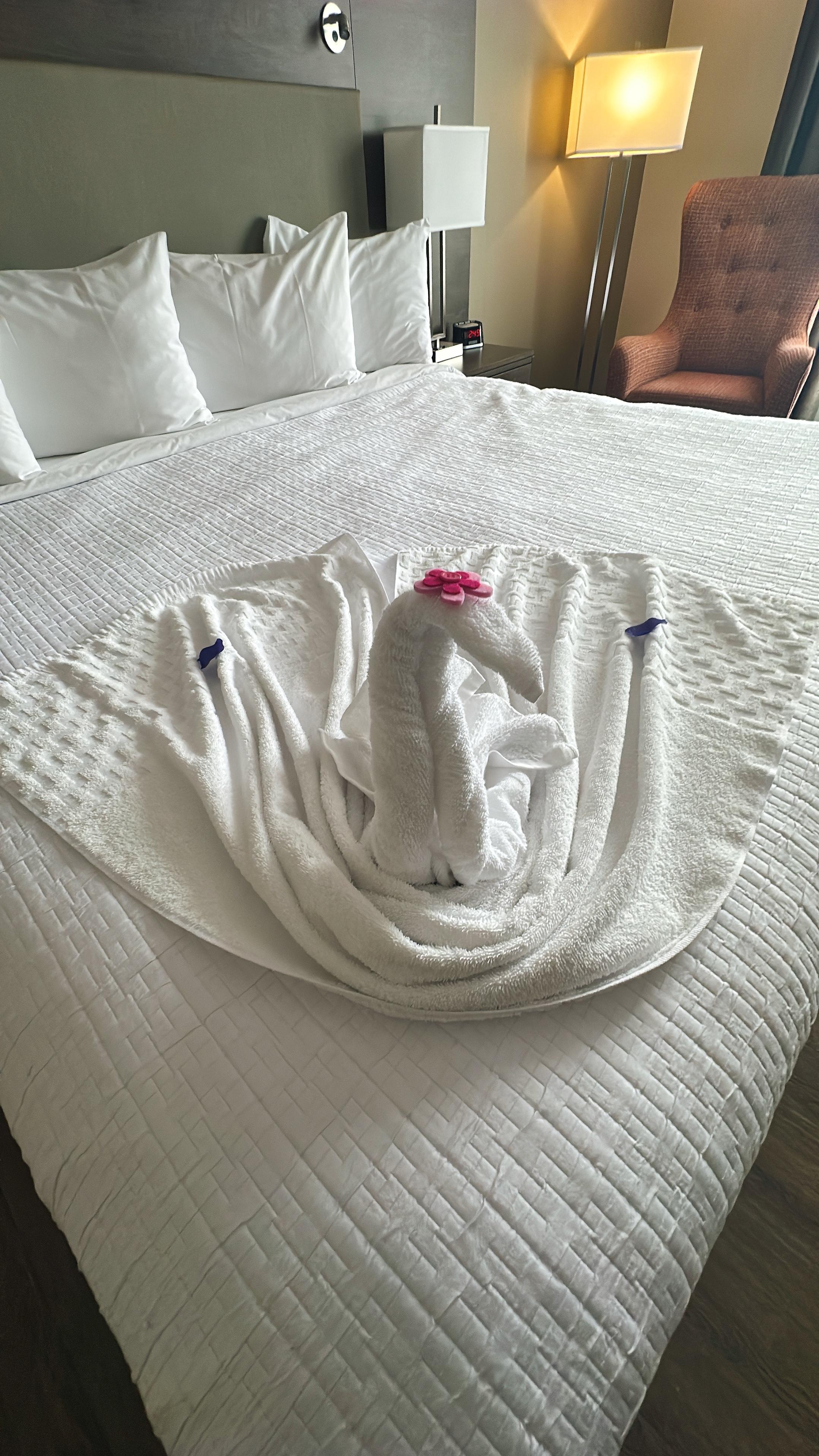 Greeted by the lady(?) towel-crown