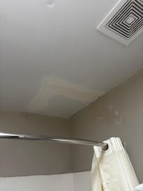 Shower ceiling