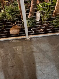 cigars and paper everywhere