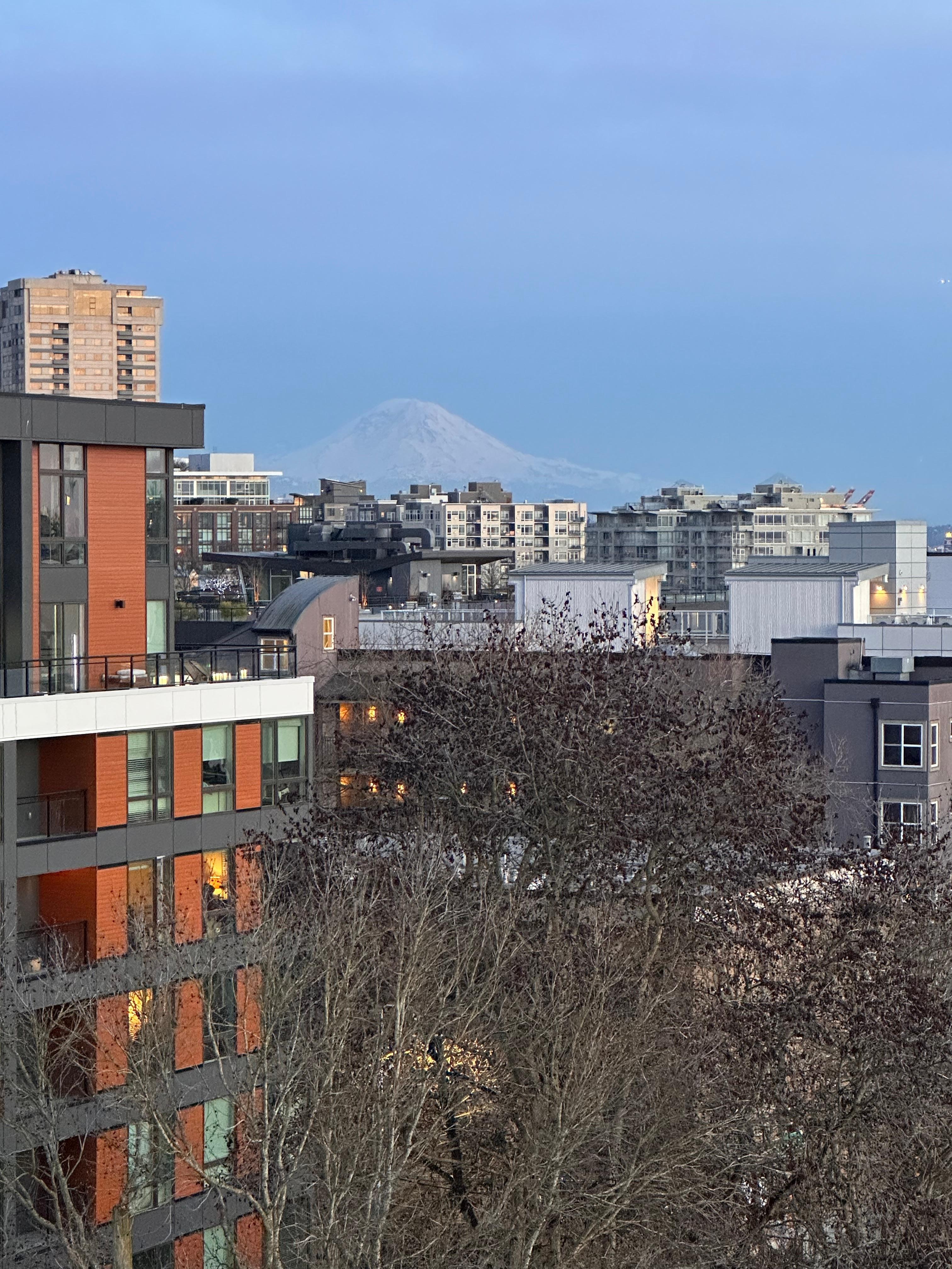 Mt.Rainier from rooftop.