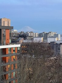 Mt.Rainier from rooftop.