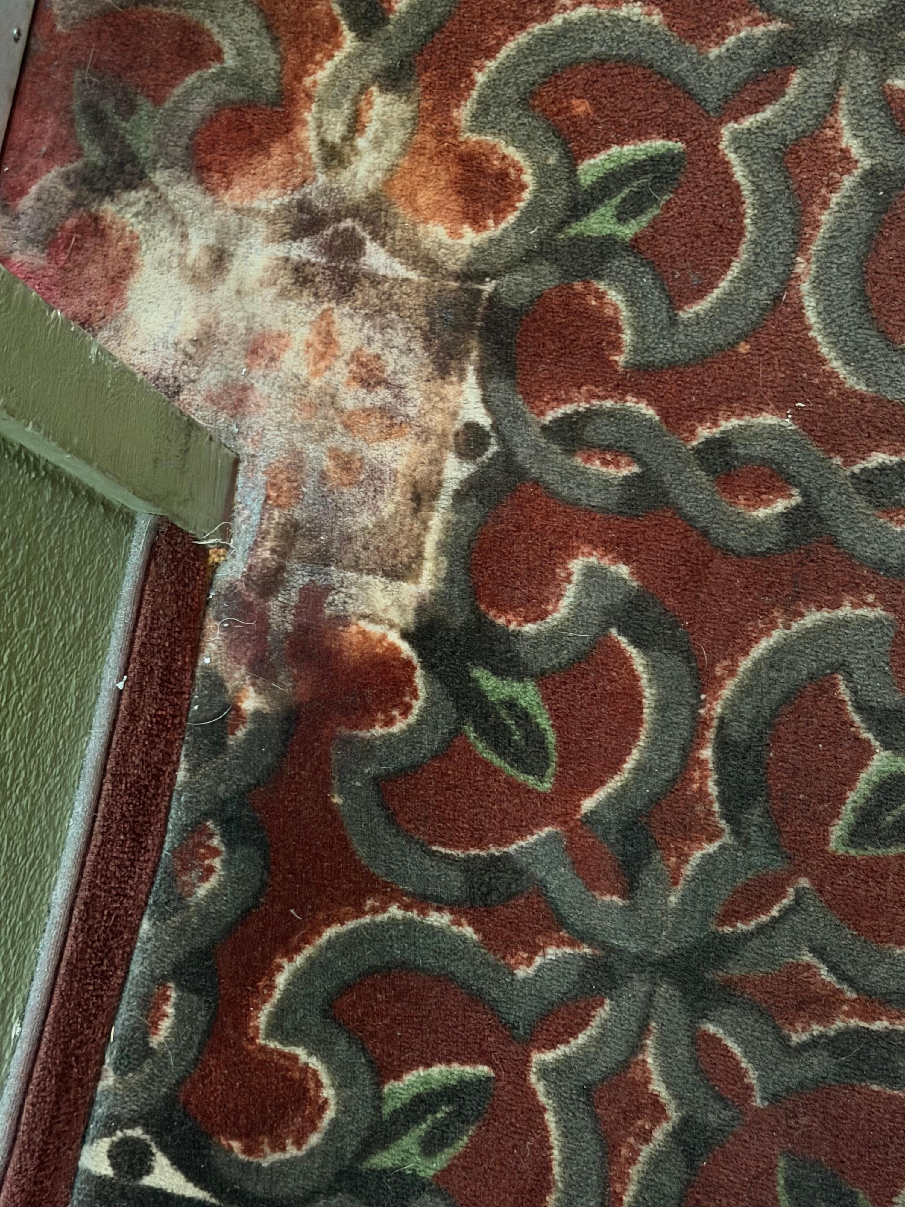 Moldy carpet in the hallway