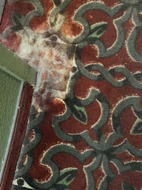 Moldy carpet in the hallway