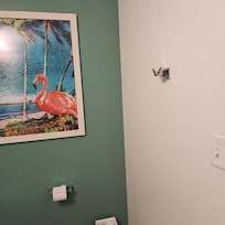 No towel bars, just this double hook