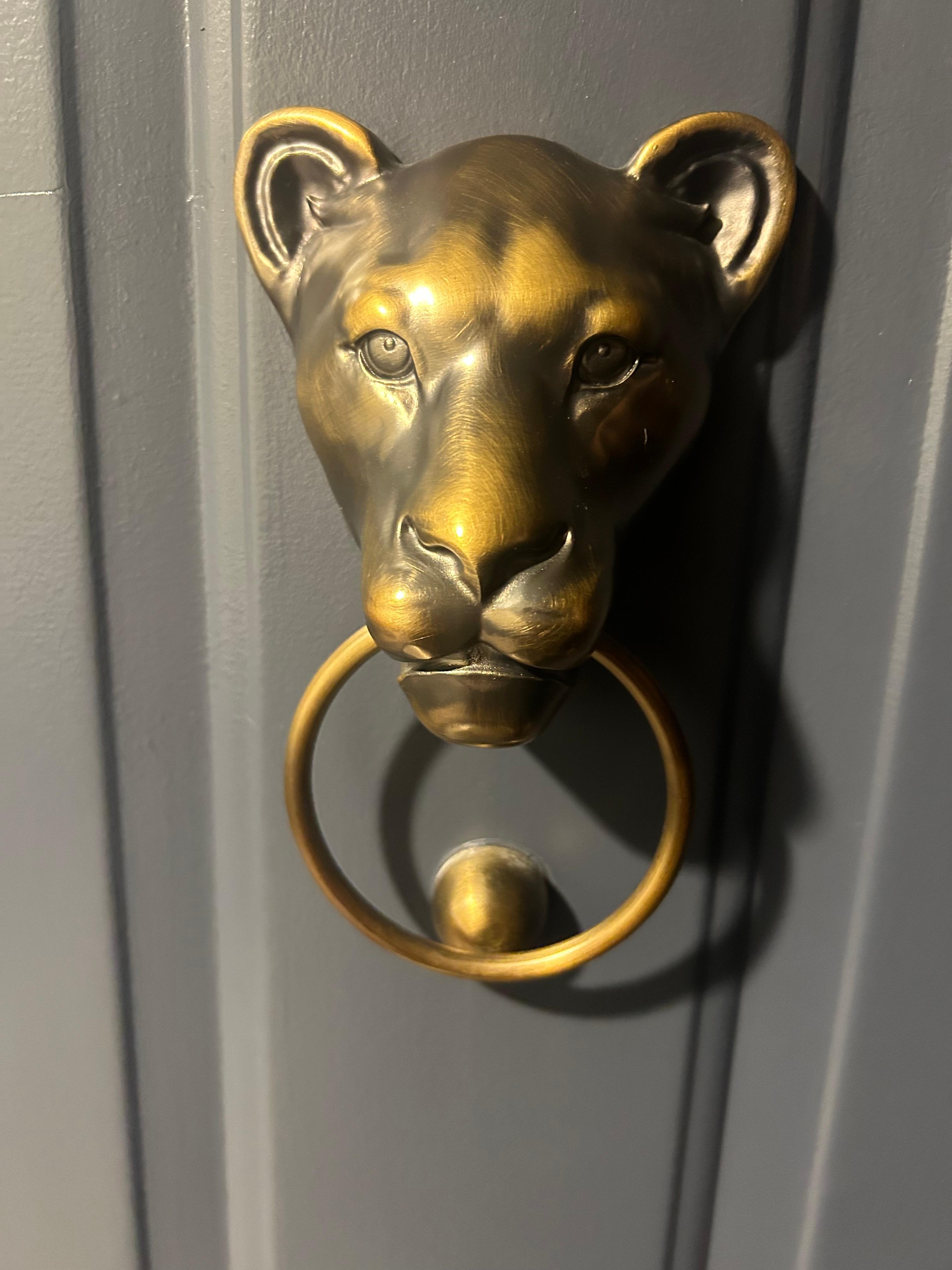 Nittany Lion head in your room door 