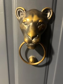 Nittany Lion head in your room door