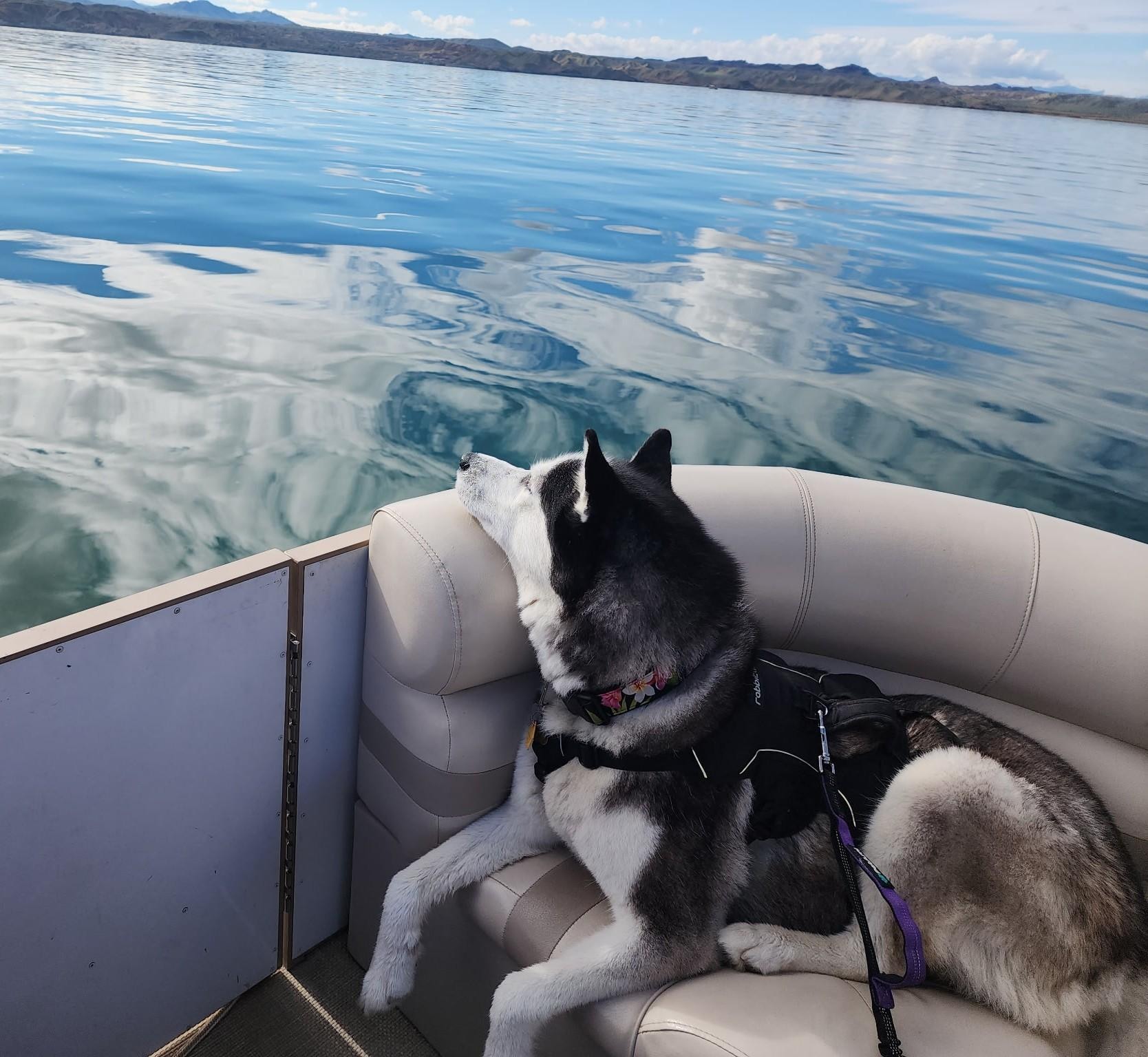 Rented boat from Nautical Water Sports
