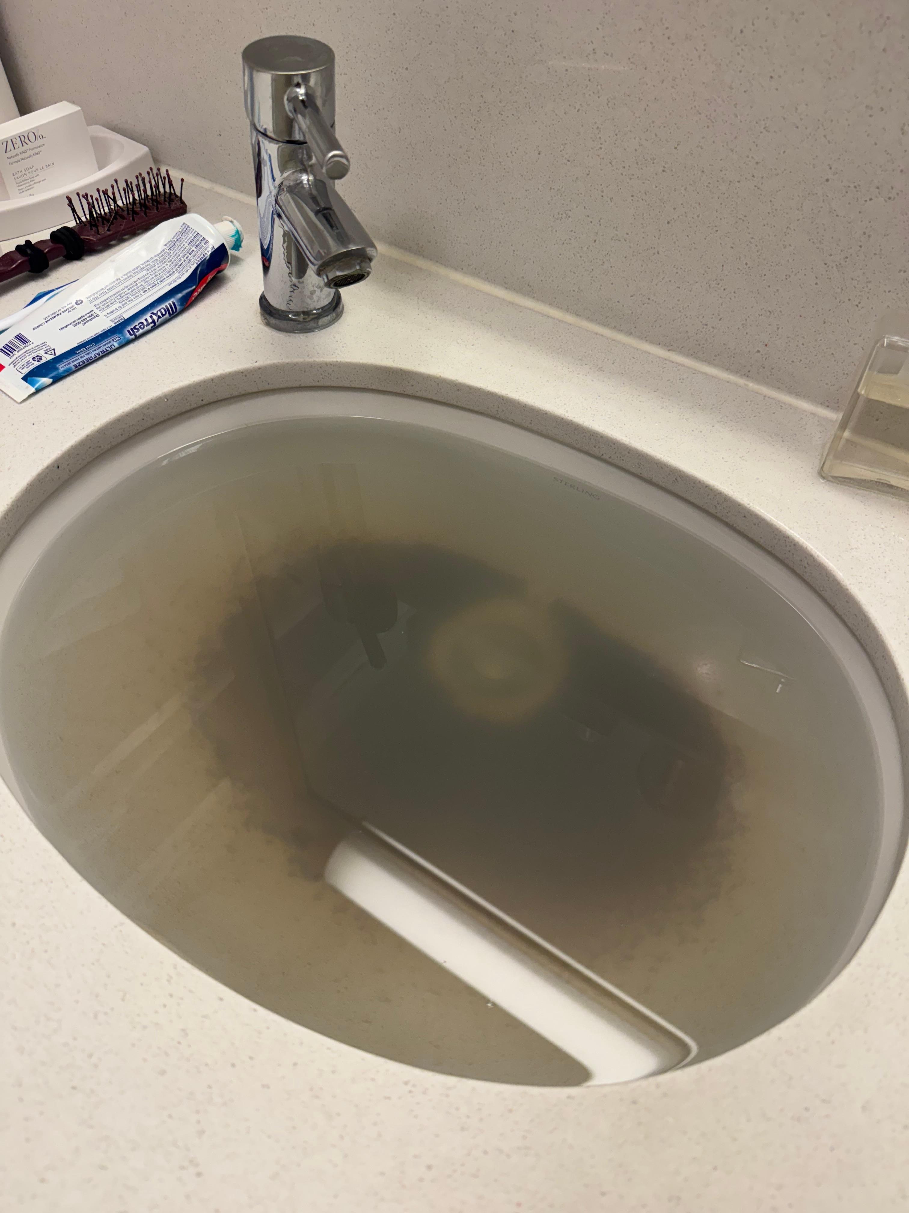 Backed up sink with foul odor that would not drain.