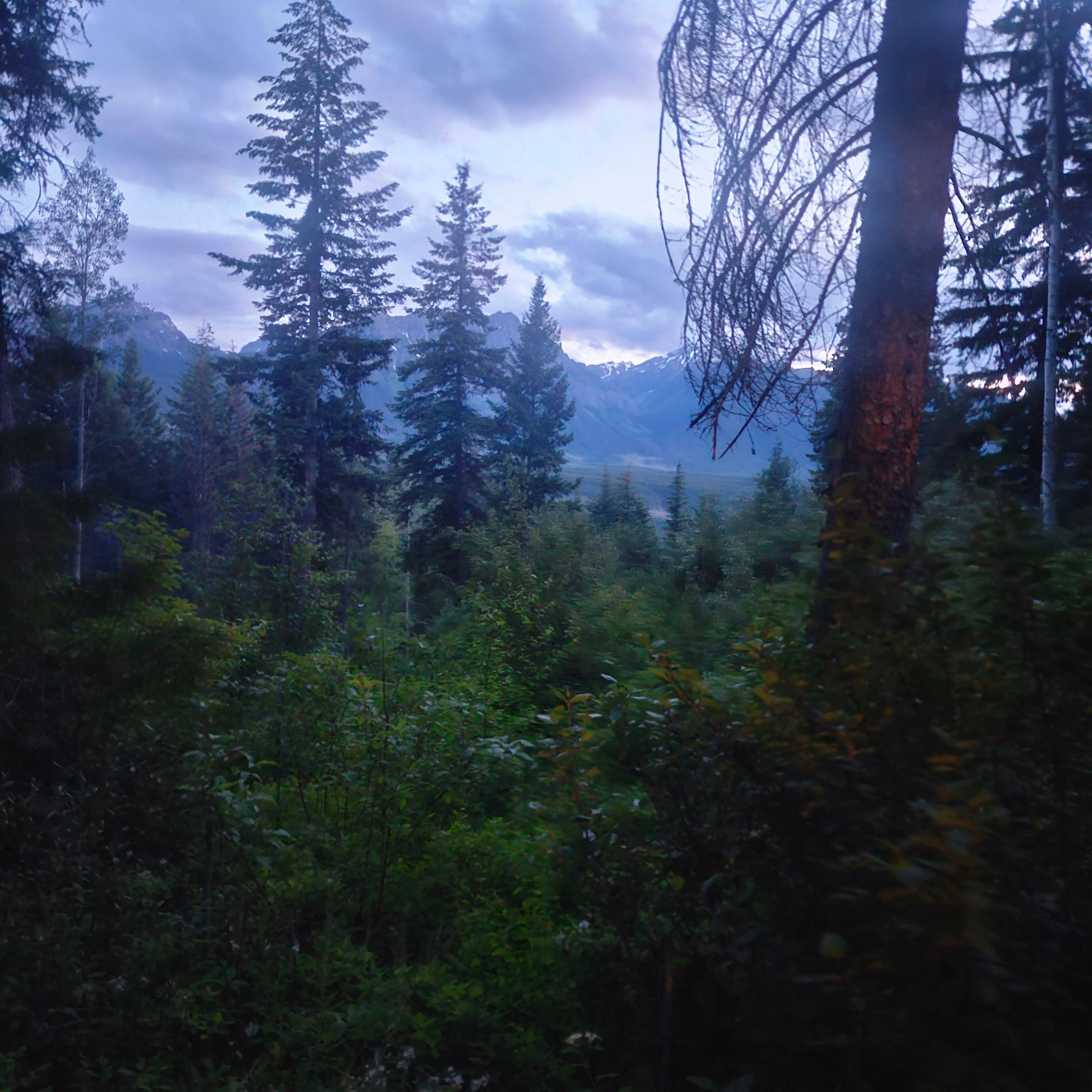 Incredible view by the firepit