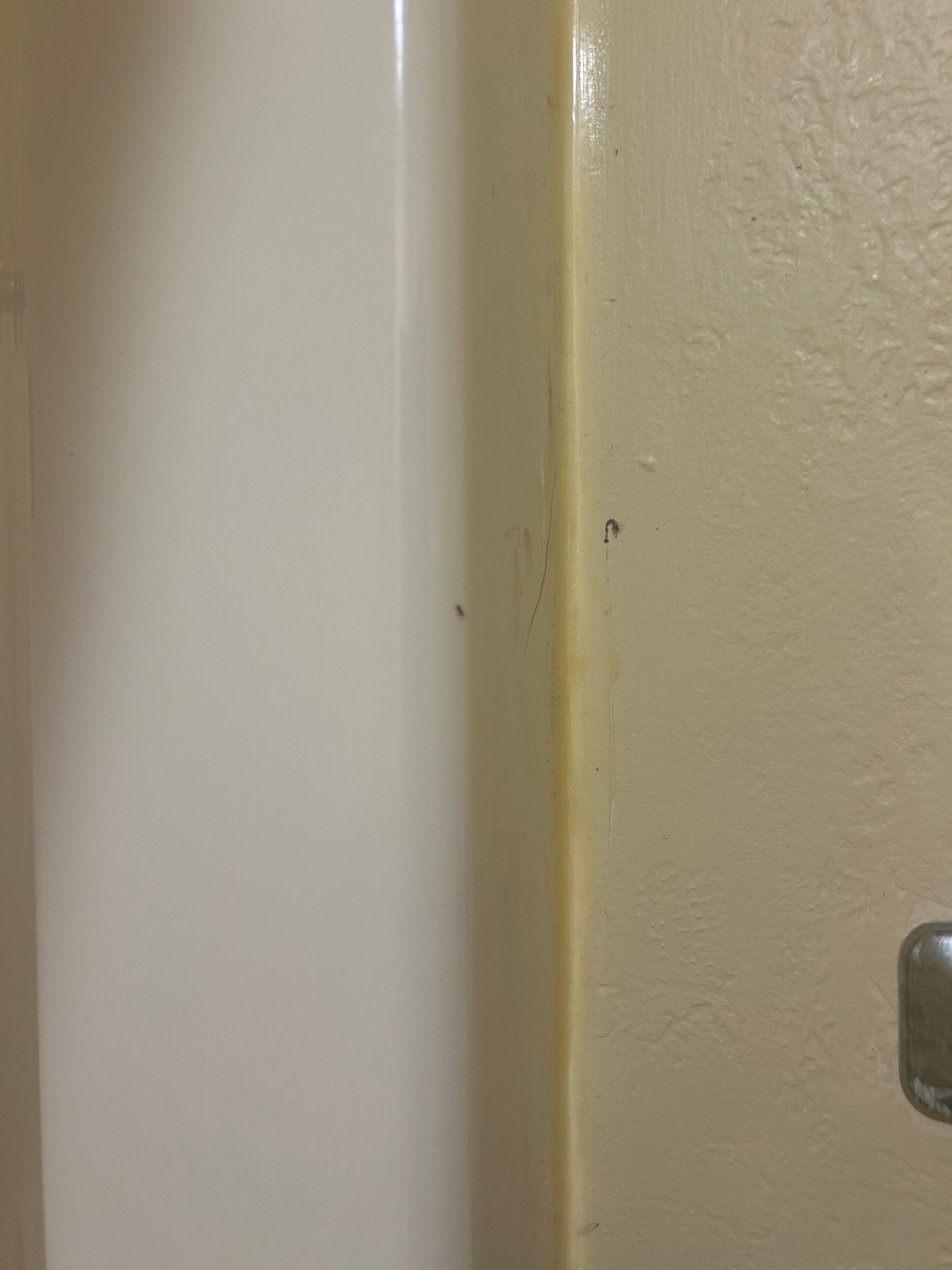 More bugs