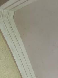 Aranhas instaladas no quarto