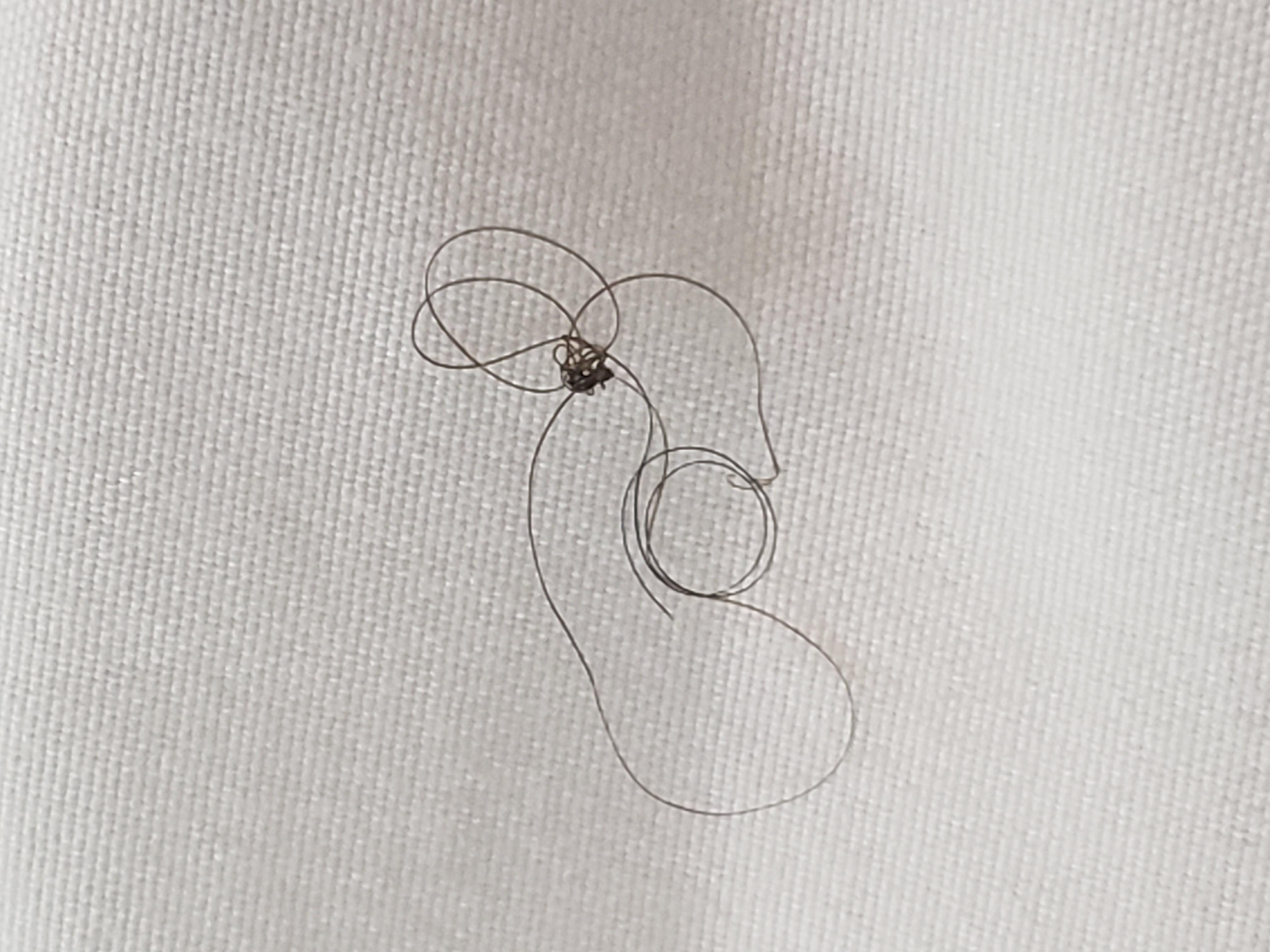 Hair (Not mine for sure) on bed sheet with dark red brown looks like blood clot. Don't they wash these properly. Gross.