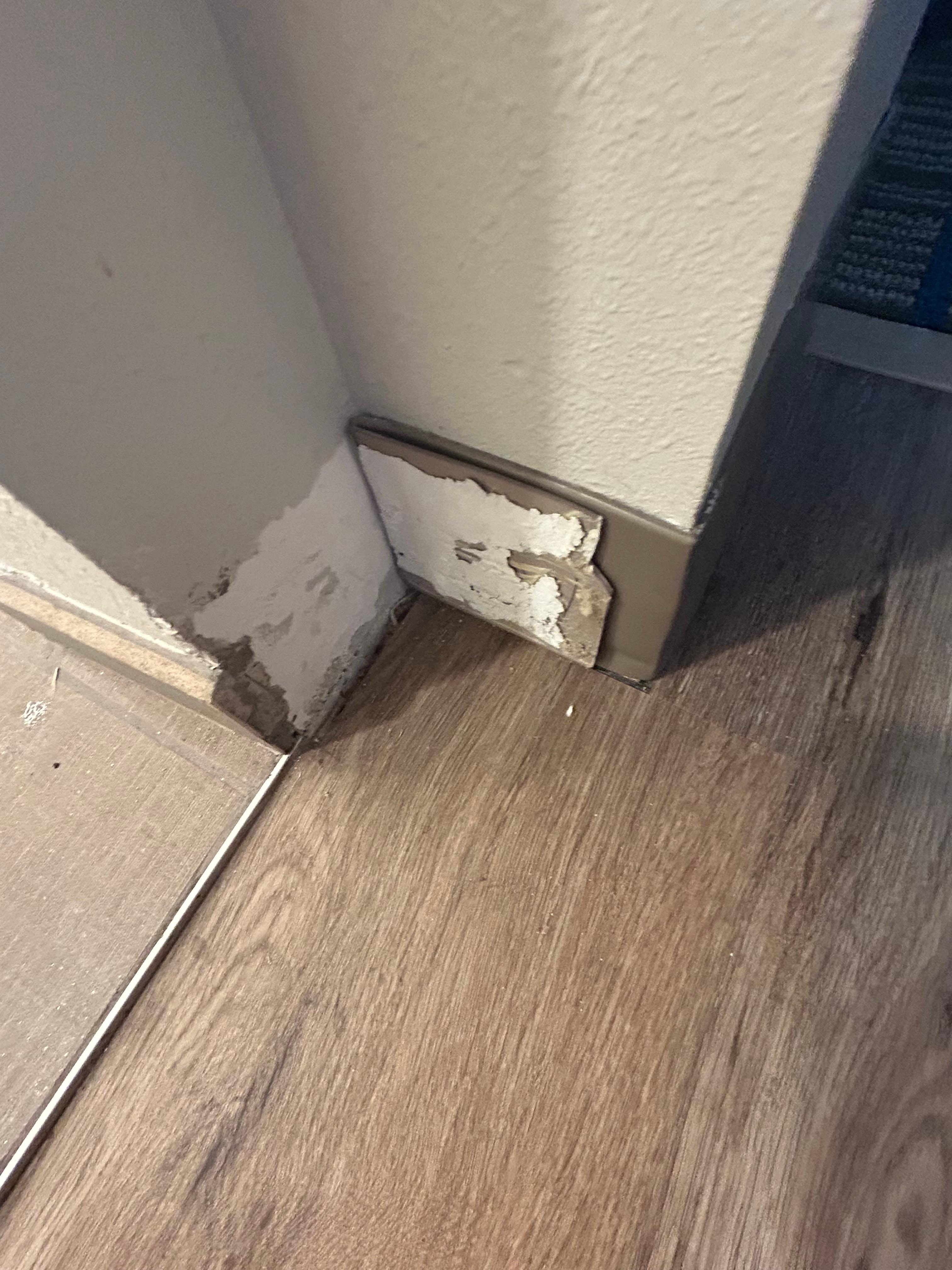 The molding on the door frame that stops the barn door from closing all the way, but also makes it get stuck