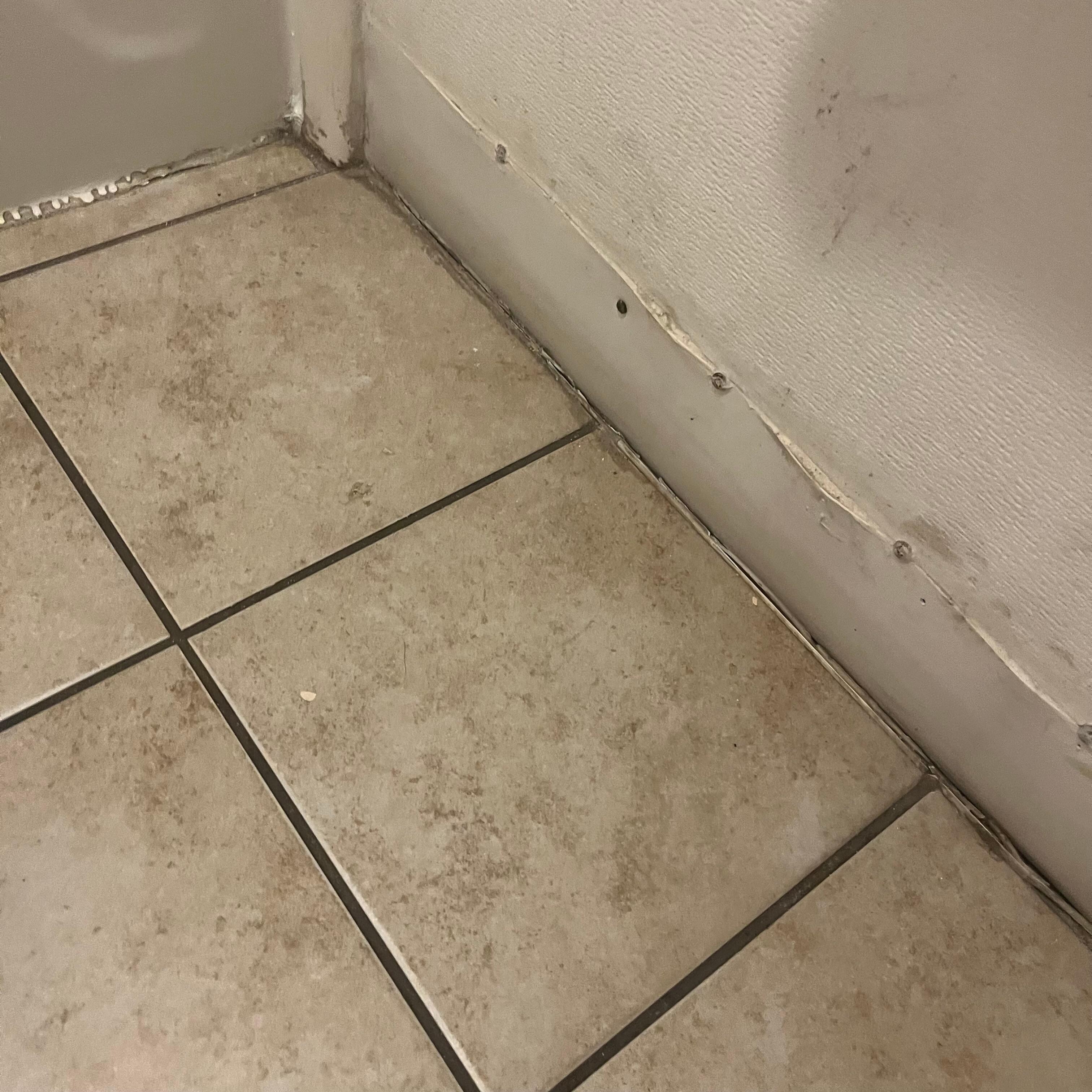 Floor in hallway, mold on walls