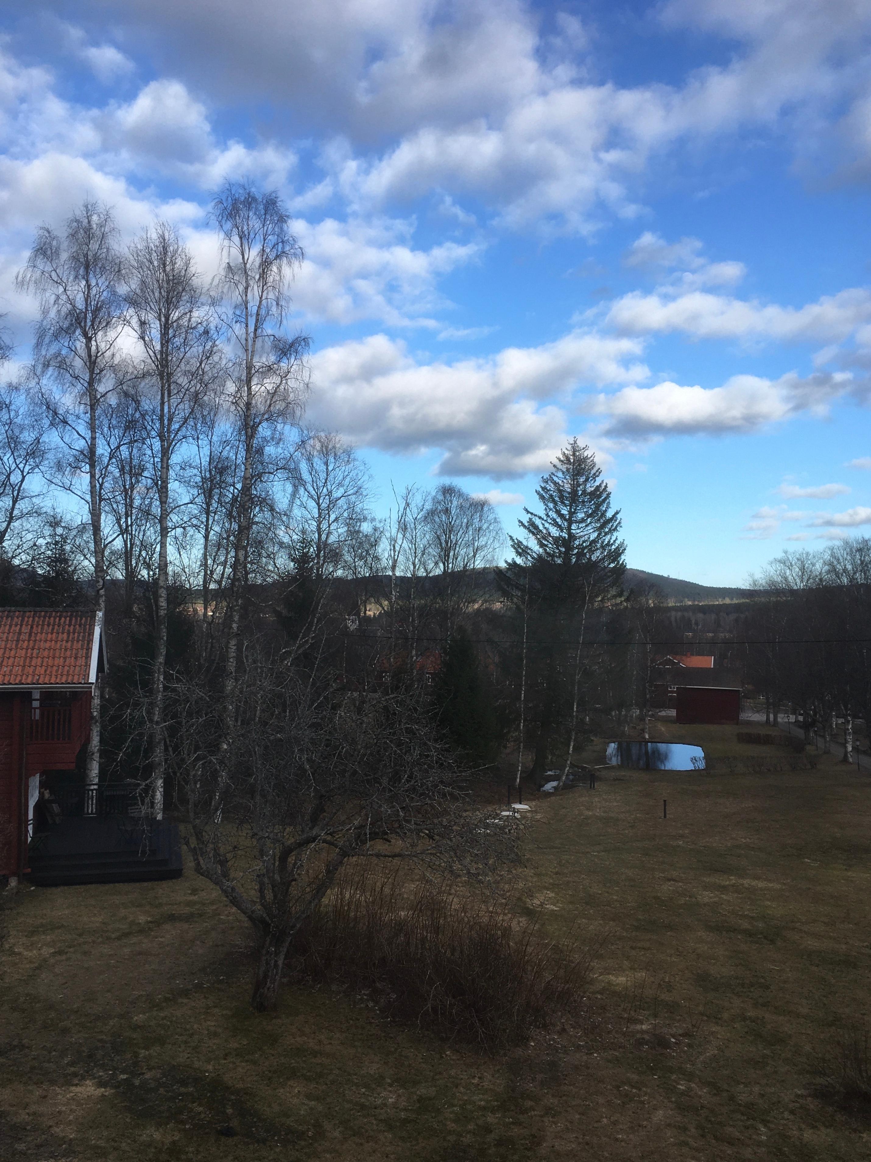 Utsikt från Annexet ner mot ”stora vägen” och huvudbyggnaden (lätt skymd).