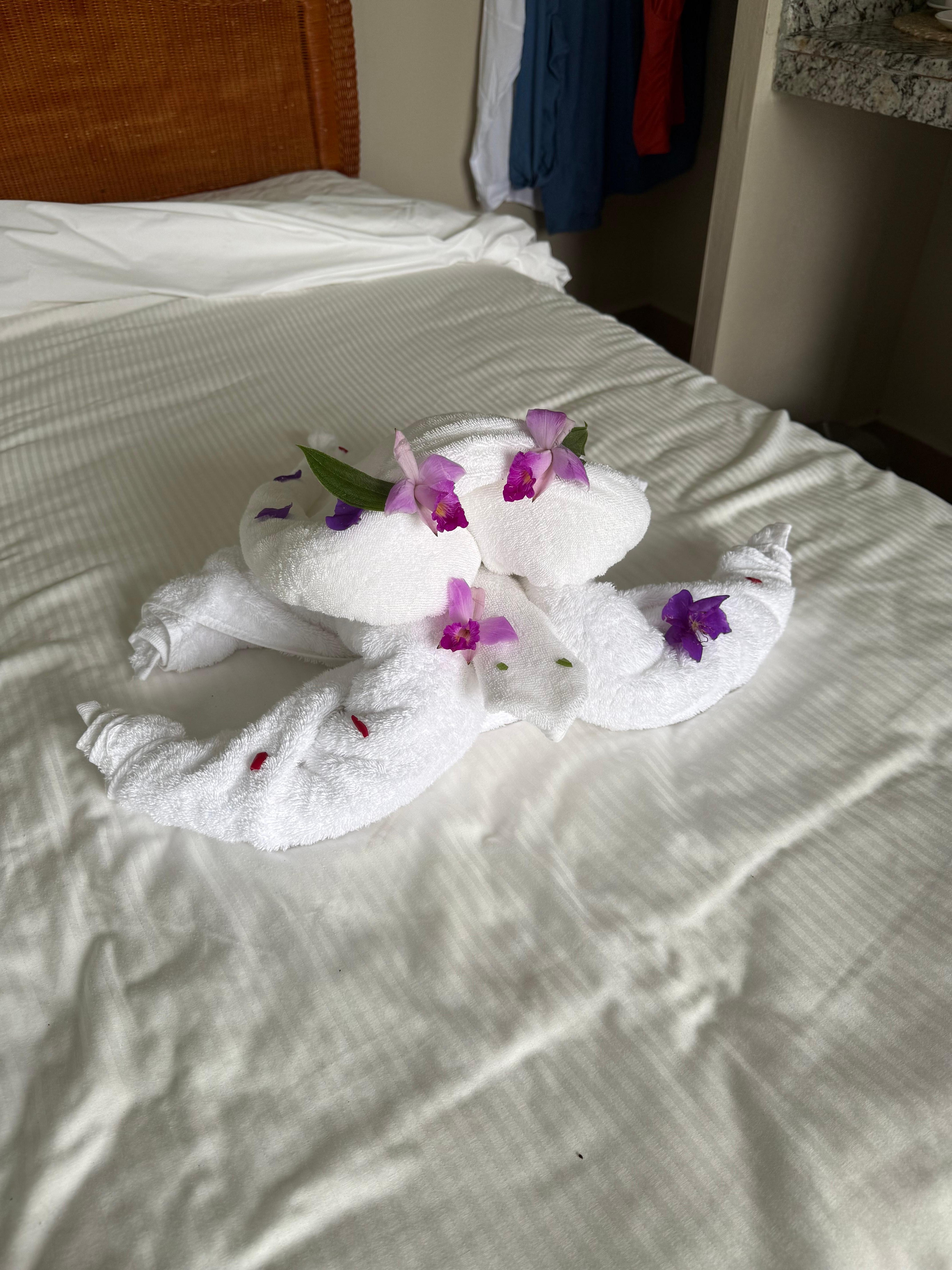 We got to watch her make the towel sea turtle. 