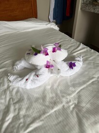 We got to watch her make the towel sea turtle.