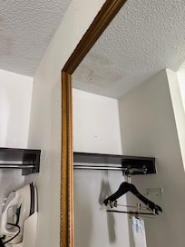 flies and fruit flies everywhere