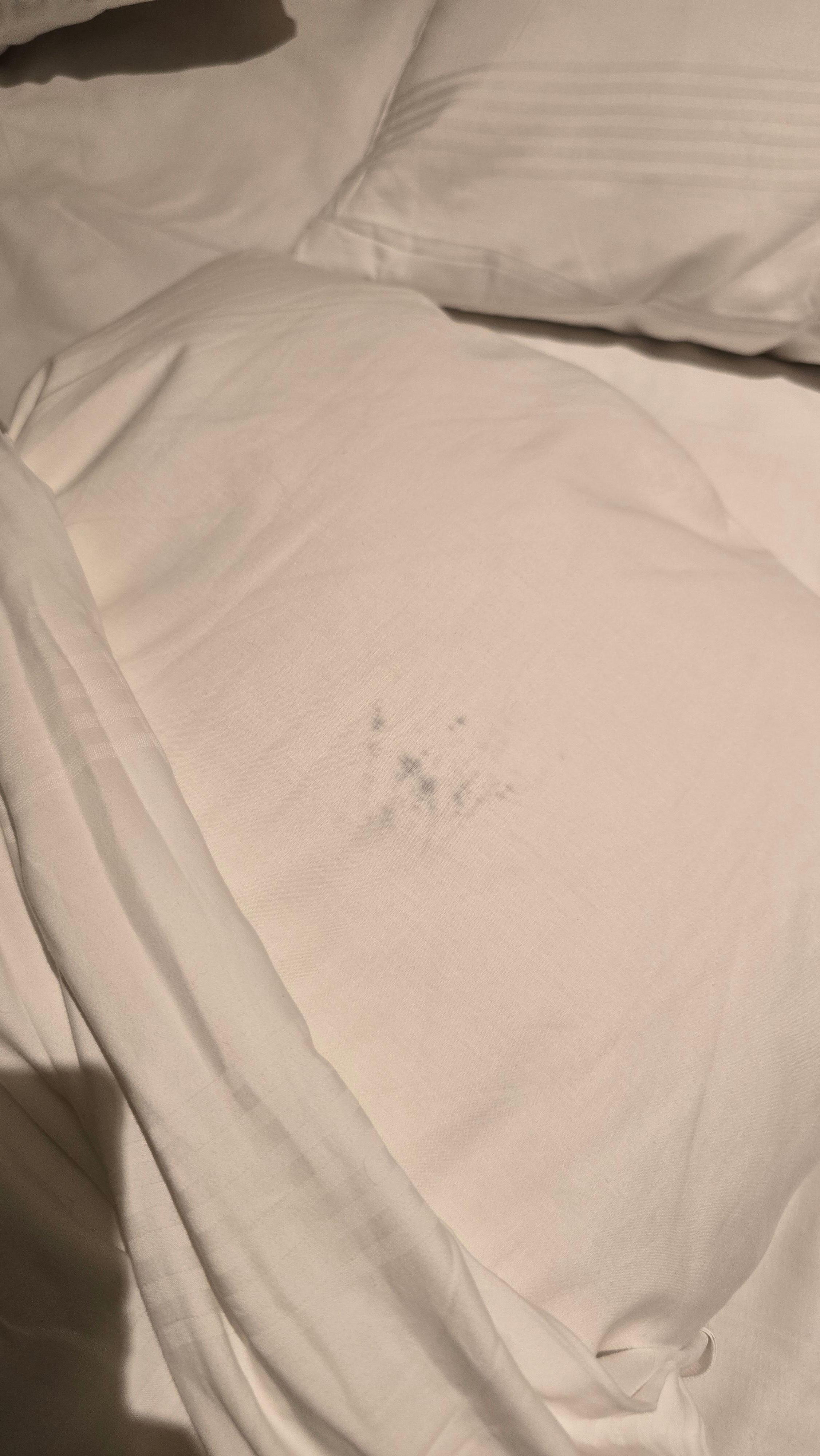Mould on the pillow