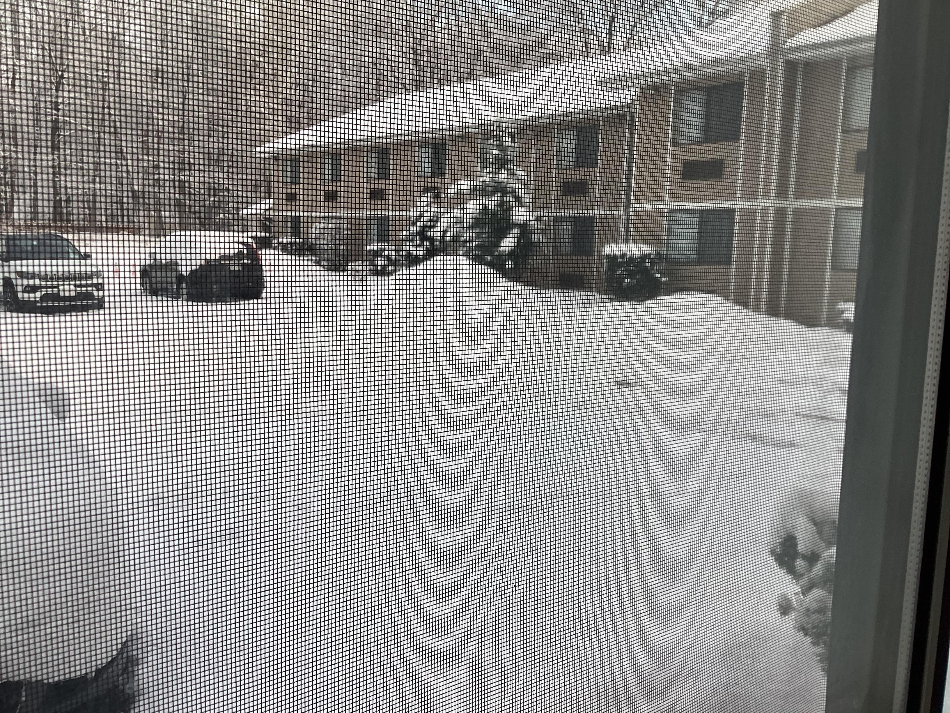 The parking lot wasn’t plowed till later in the day.  By then all 6inches of snow had fallen.