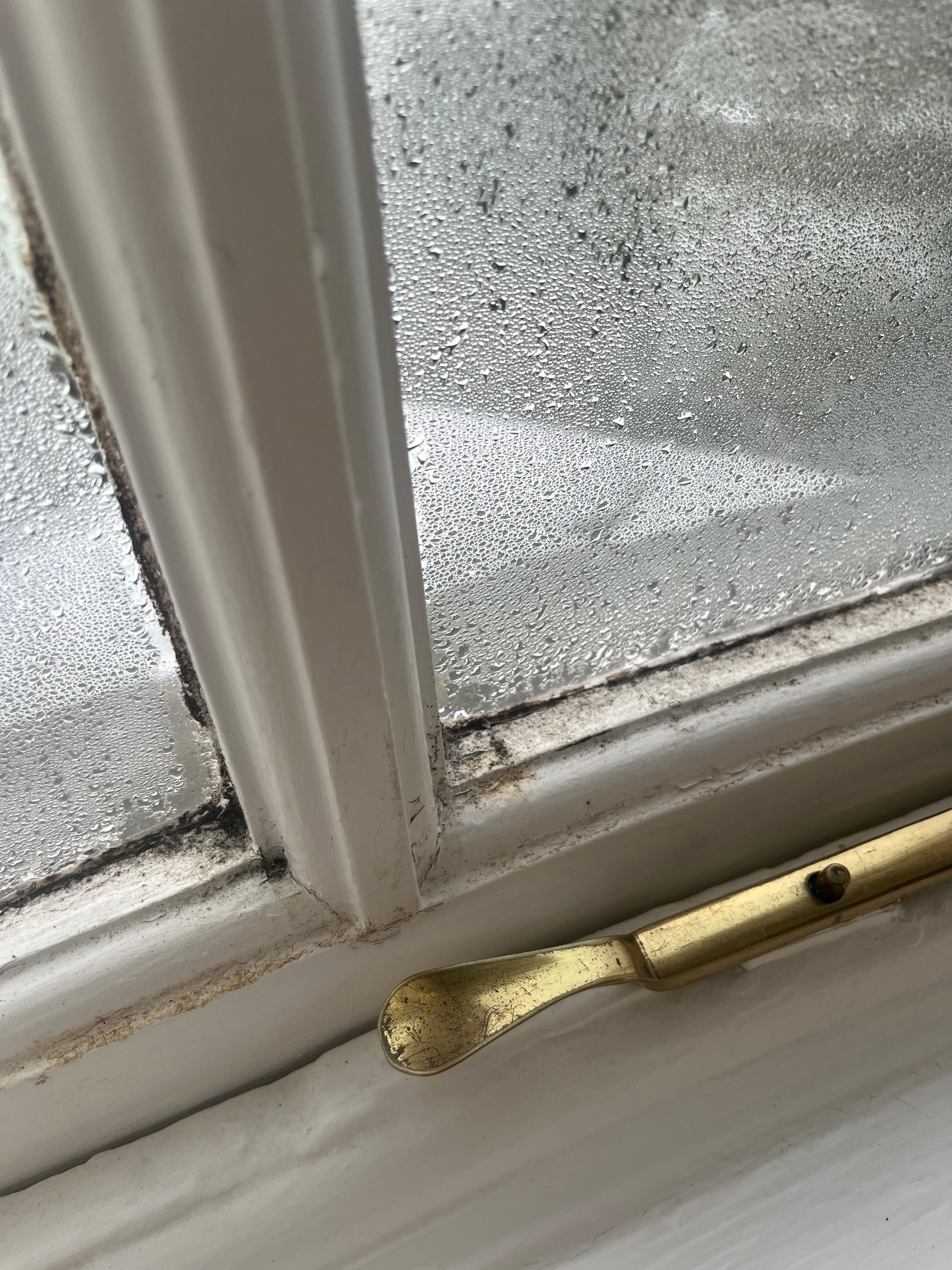 Filthy window frames