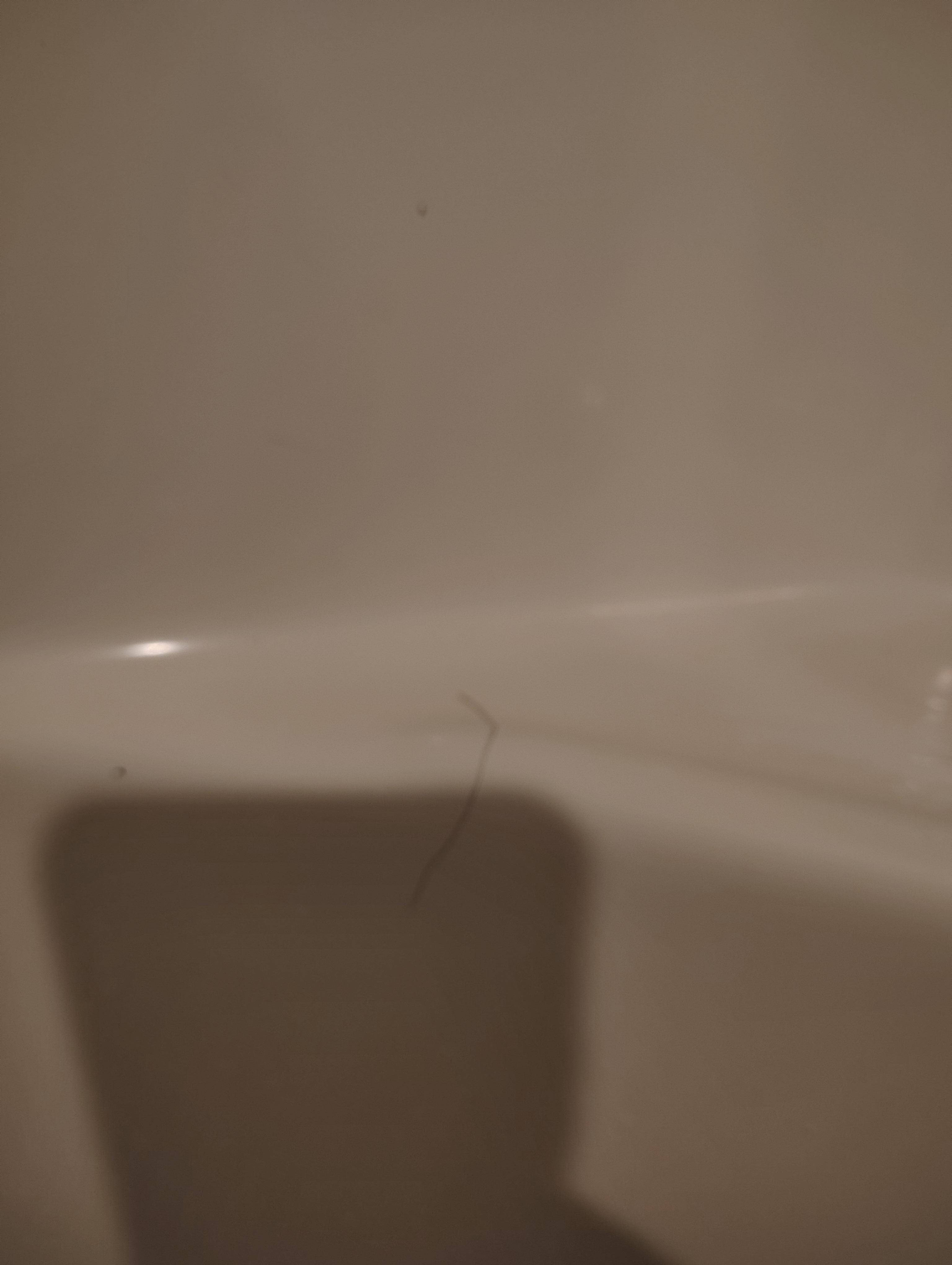 Hair in shower