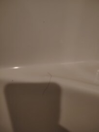 Hair in shower