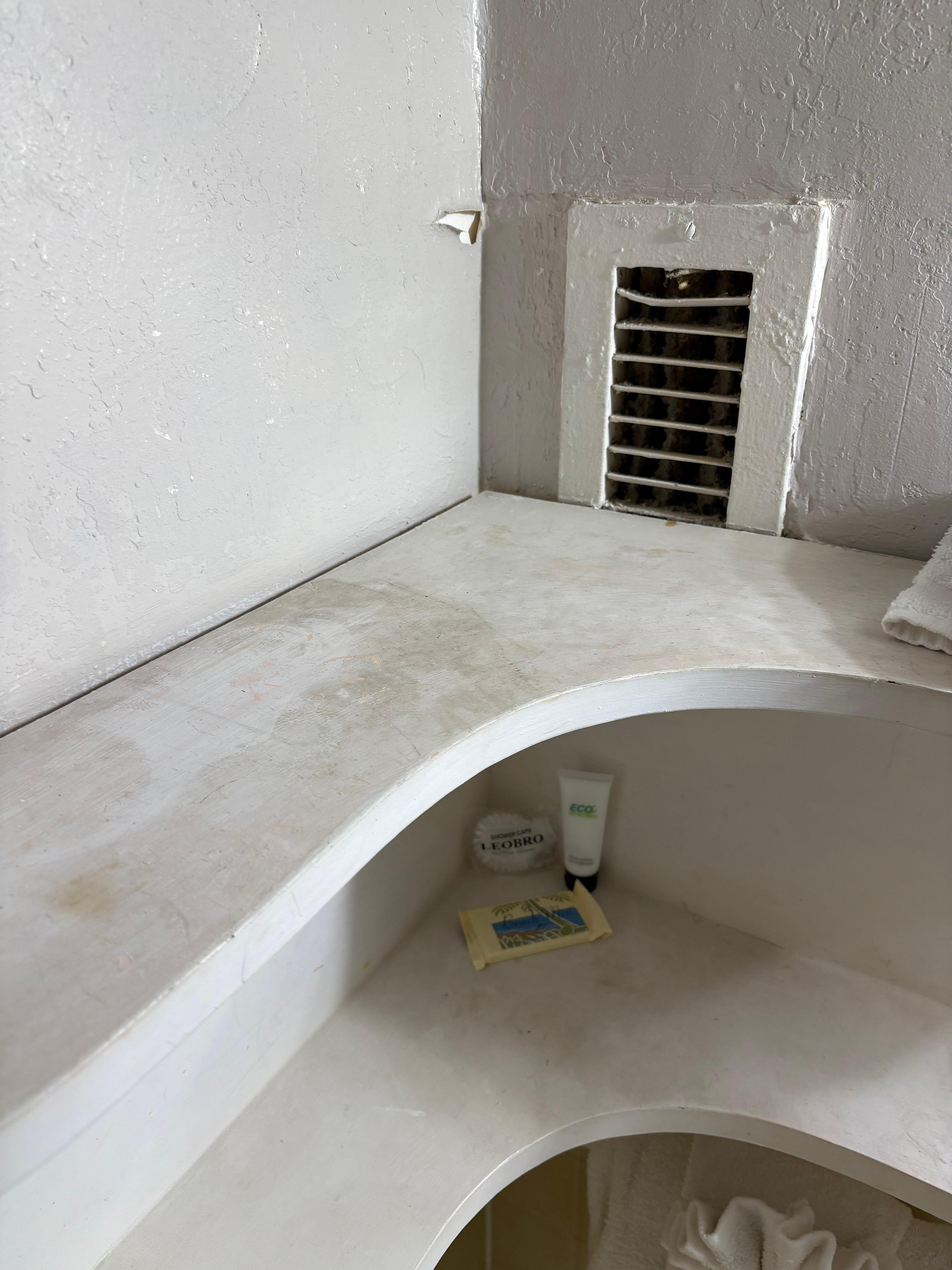 Dirty bath vent and mold