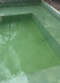 Água da piscina do nosso bangalô estava turva. Foi resolvido depois de um dia.