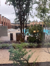 Courtyard pool
