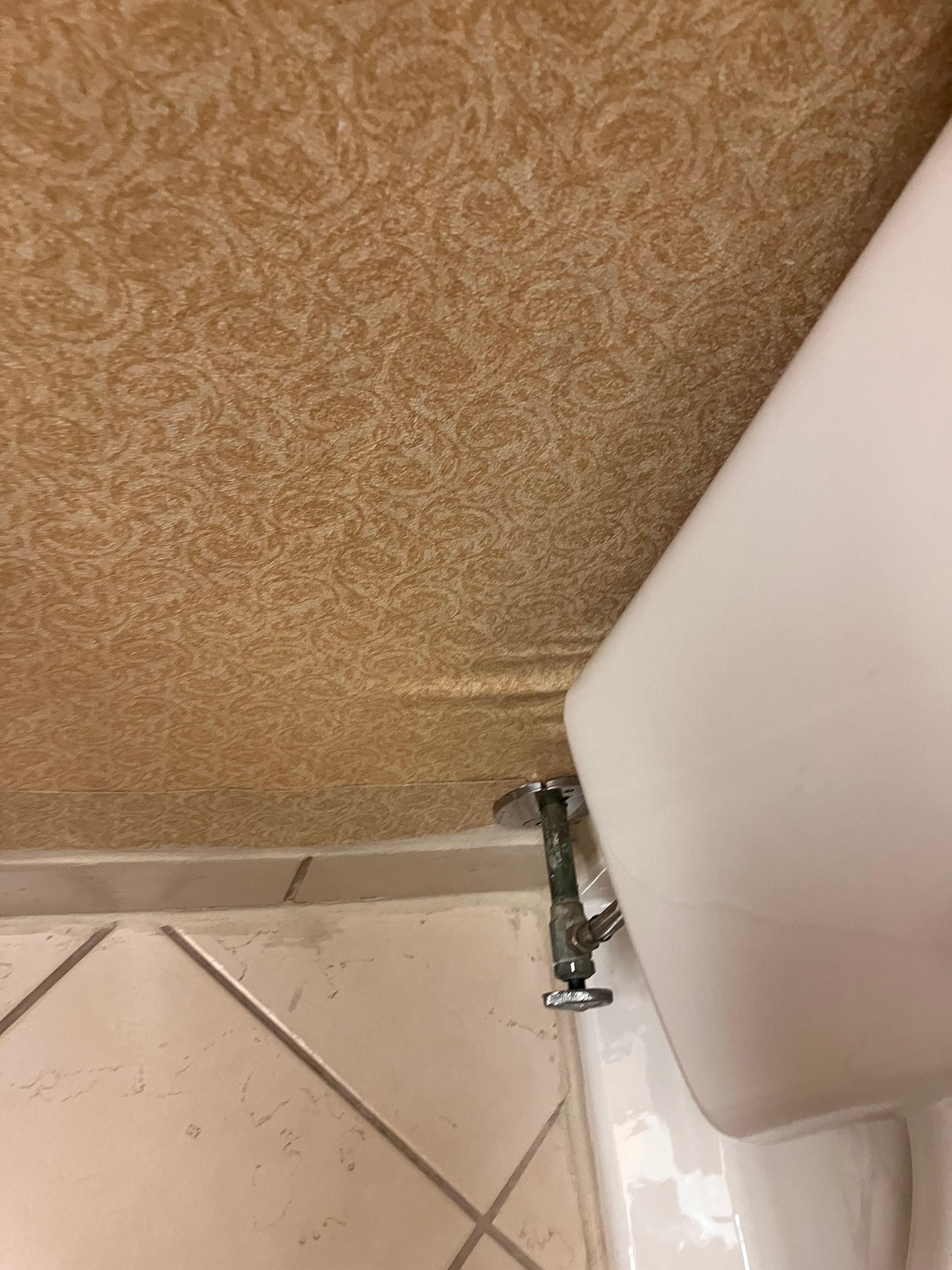 Apparent leak
High pitched squeal when we ran water or another room nearby 