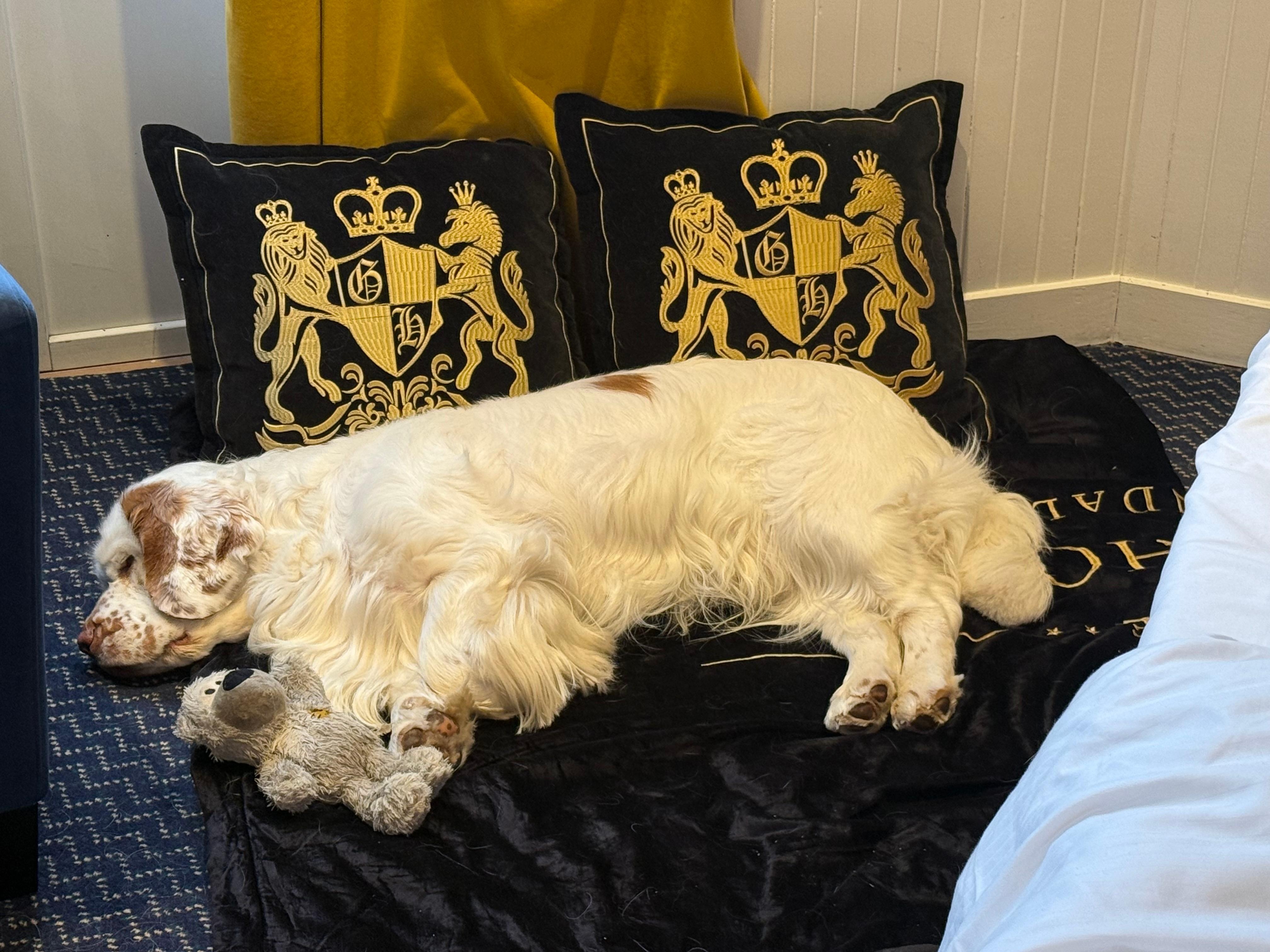 Pawderosa Betong nyter oppholdet 😊