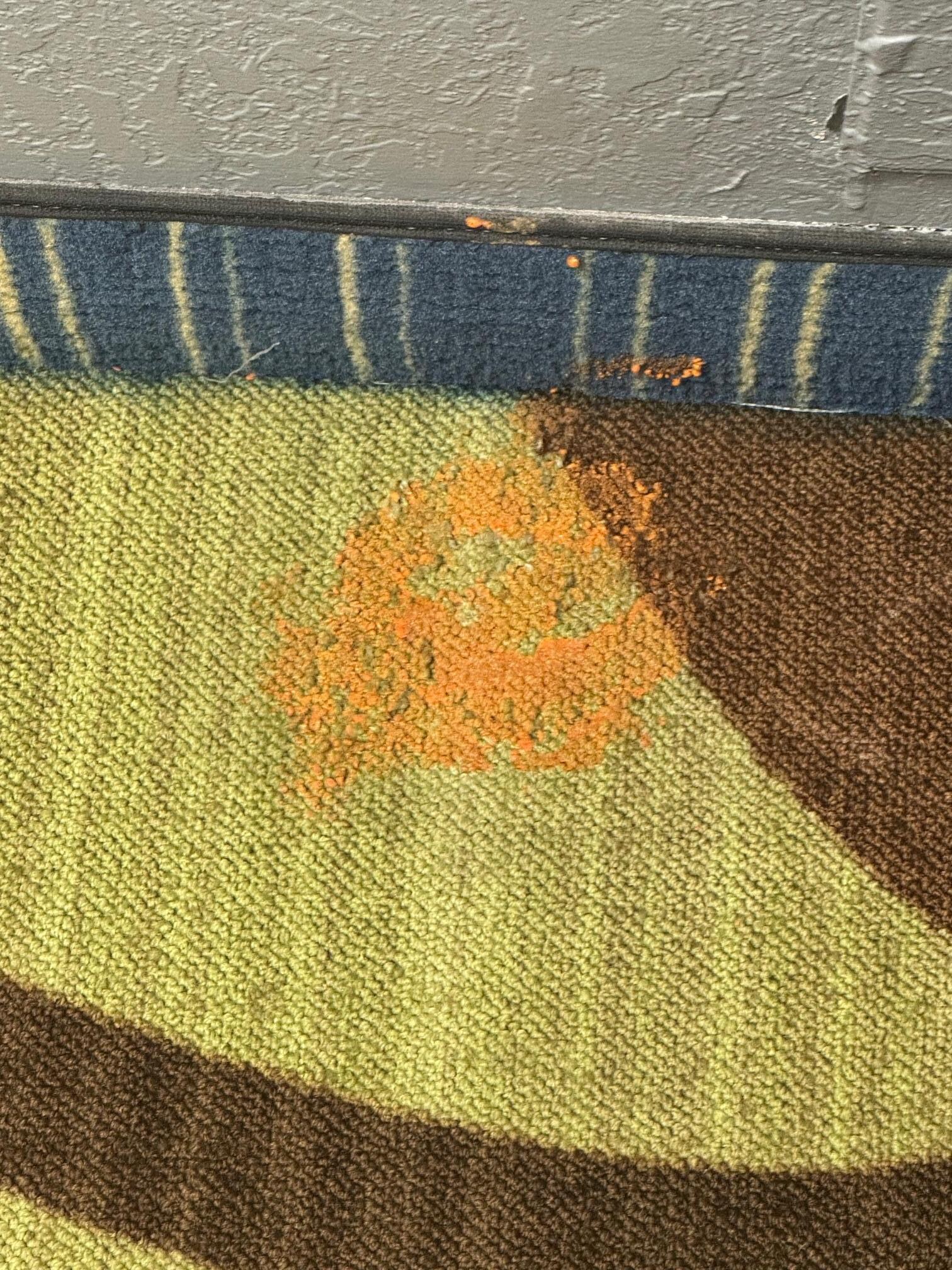 Vomit in the hallway