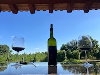 We enjoyed a home grown bottle of Malbec on our patio while looking out at the rows of grapevines. Just lovely!