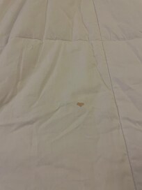 Stains on the linnens